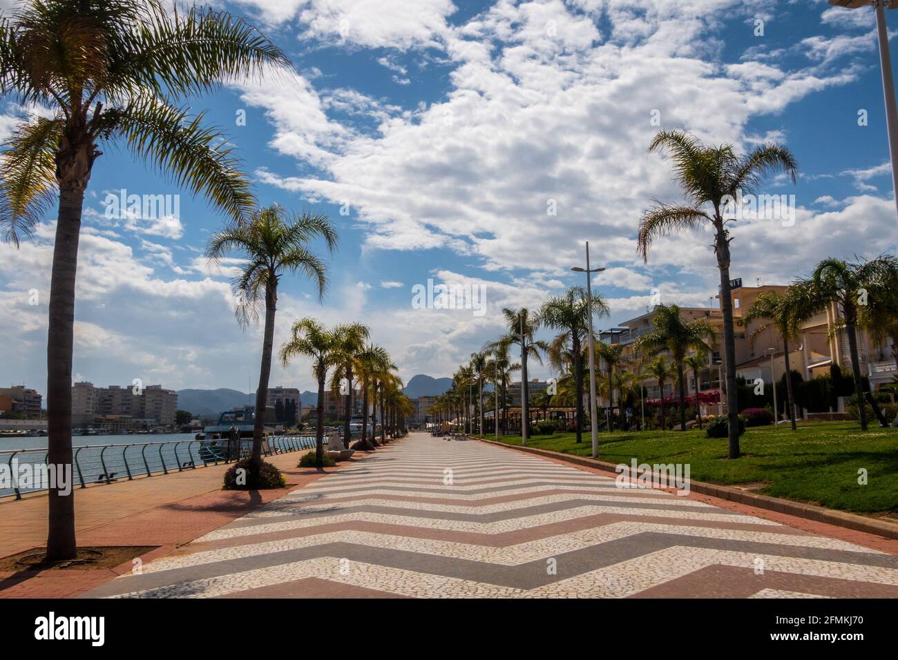 Natural view of a pavement pathway with color patterns and palm trees a ...