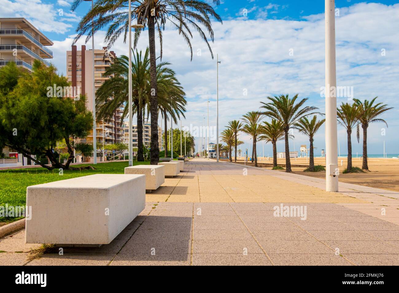 Natural view of a pavement pathway with palm trees and concrete benches ...