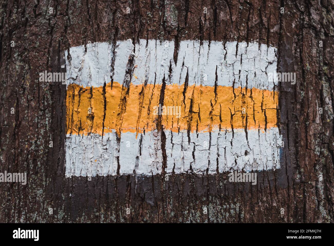 Yellow marker pattern hi-res stock photography and images - Alamy