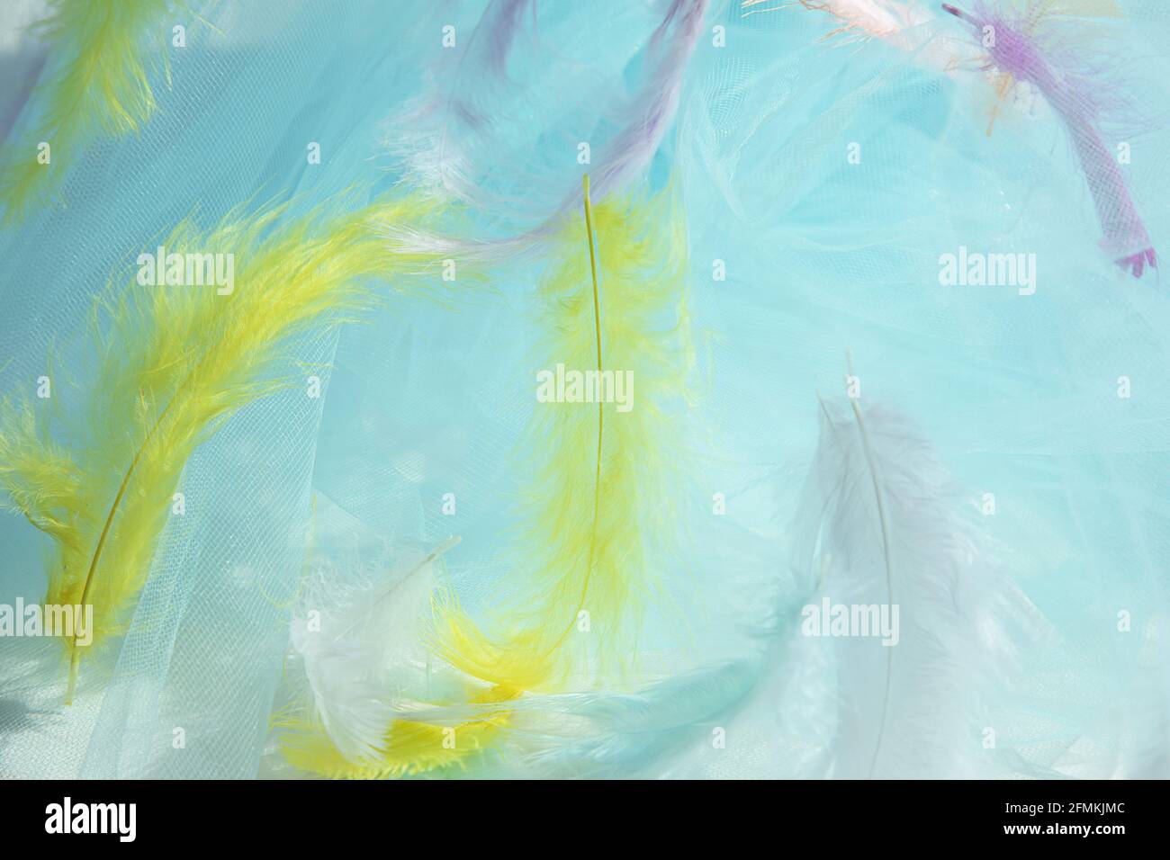 Delicate blue background from grid with multi-colored feathers, close ...