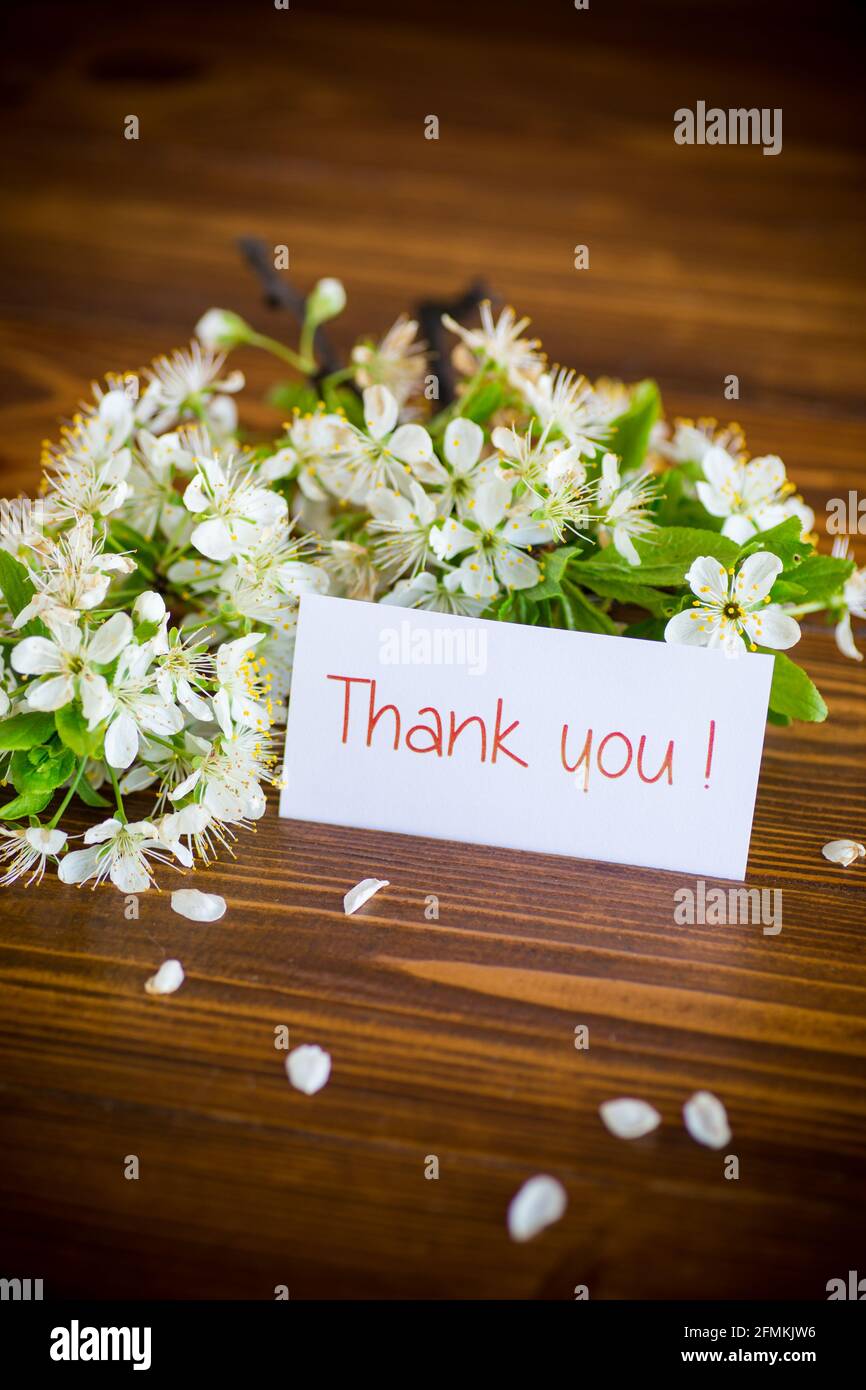 thank you card and blooming spring branch with flowers, on wooden ...
