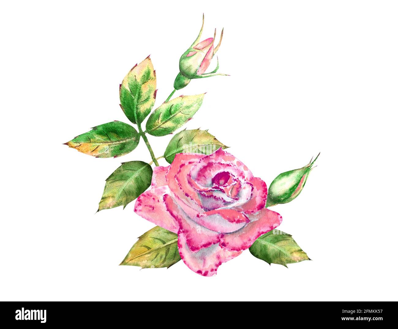 Closed flower border hi-res stock photography and images - Alamy