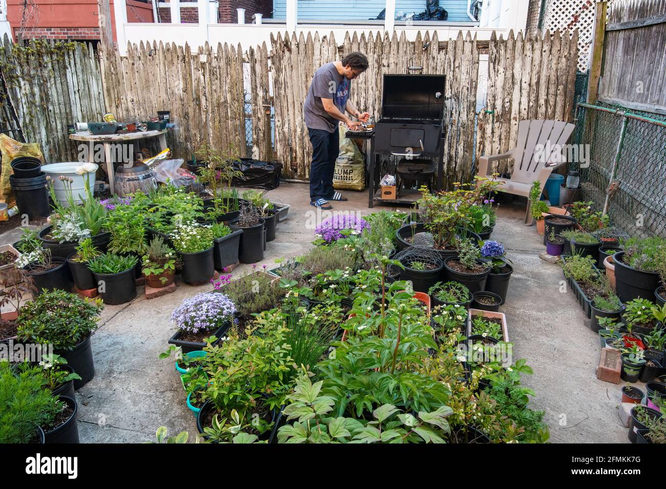 Backyard container garden in spring Stock Photo - Alamy