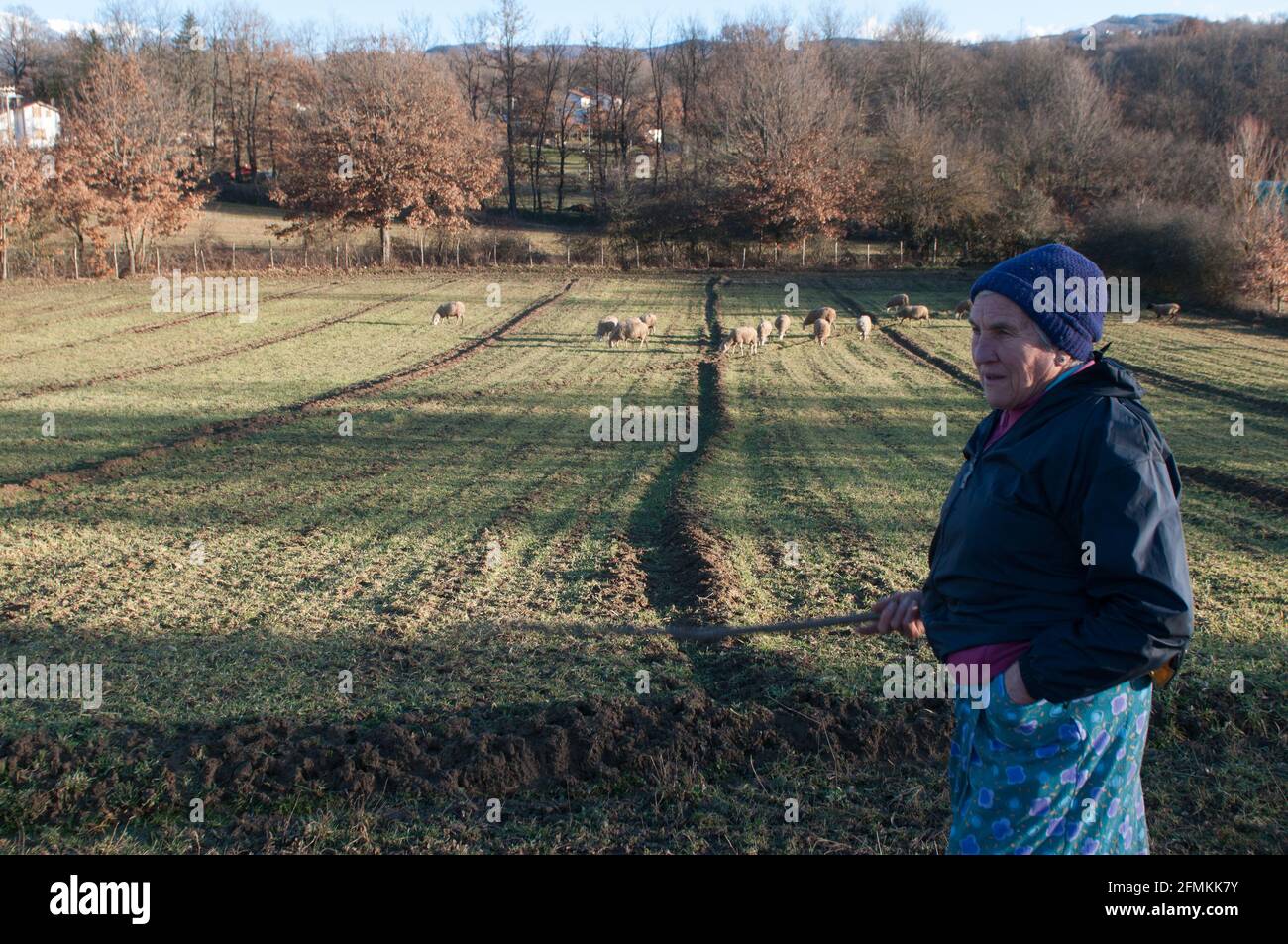 Gran Sasso, landscape, countryside, farmer, mountains, nature, trees ...