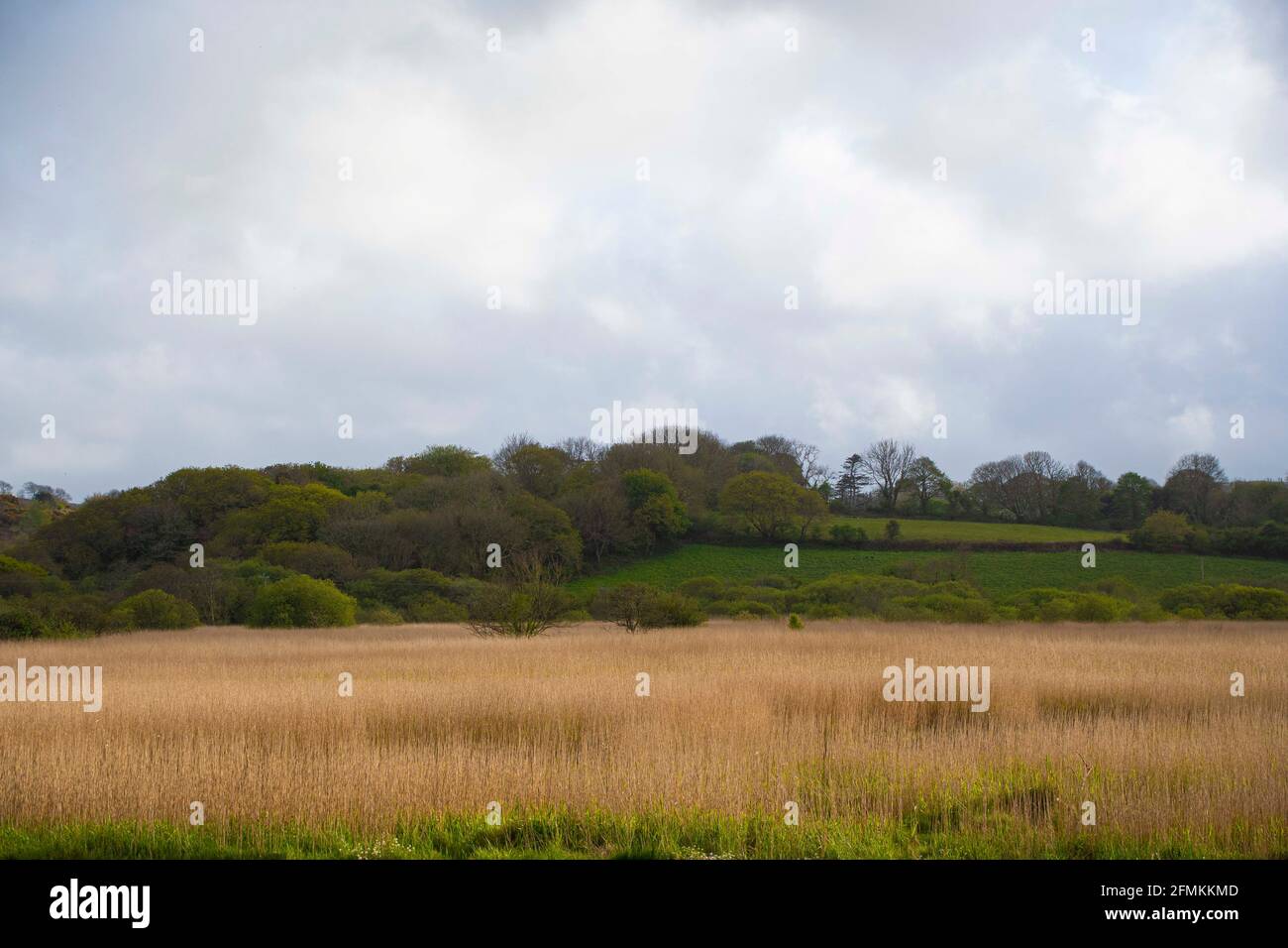 Fishguard Pembrokeshire beach and landscape view Stock Photo - Alamy