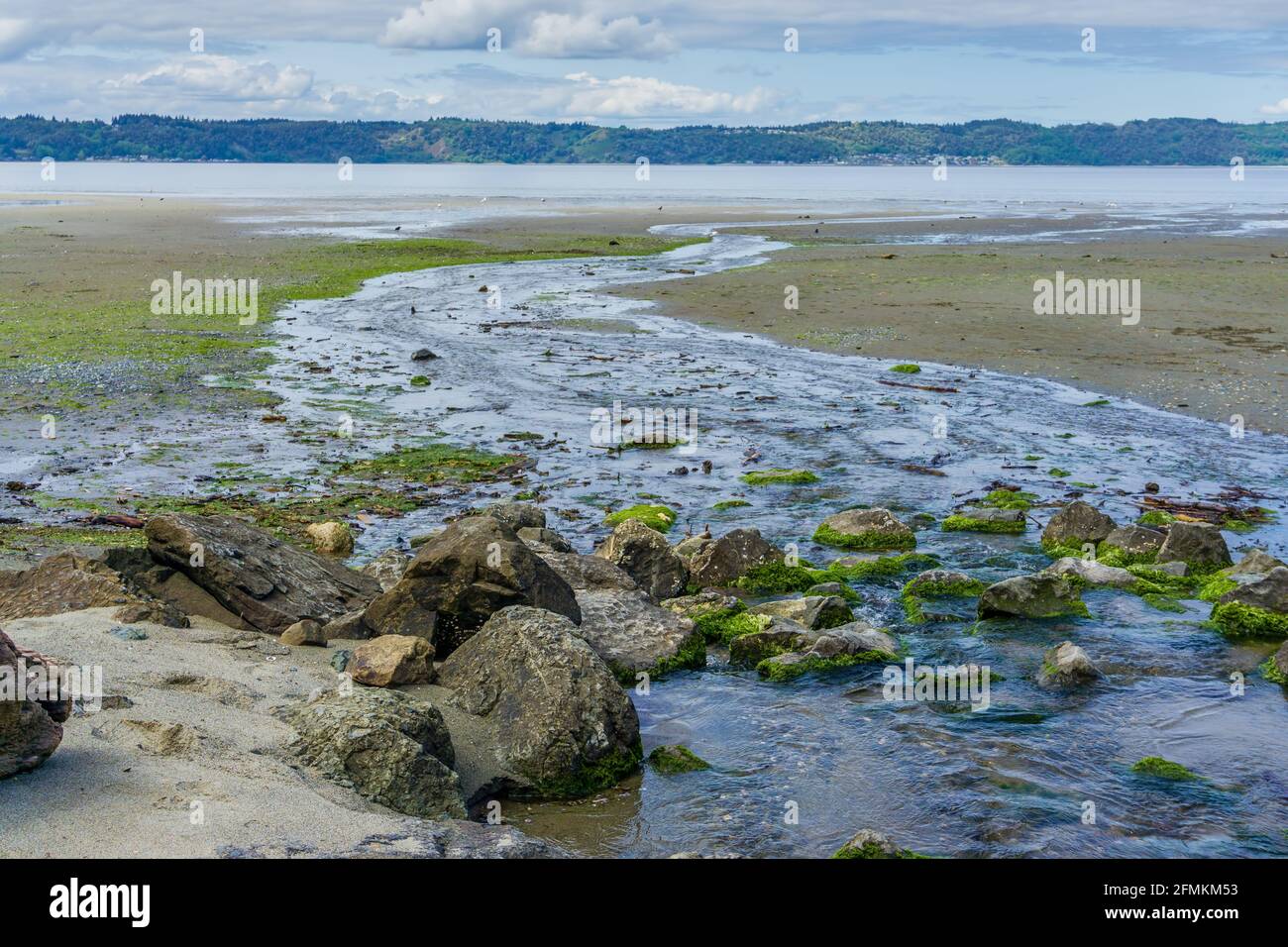 A creek flows into the Puget Sound at Dash Point State Park in ...