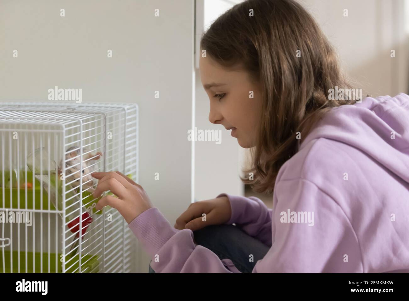 Happy playful teen kid girl playing with domesticated rat Stock Photo ...