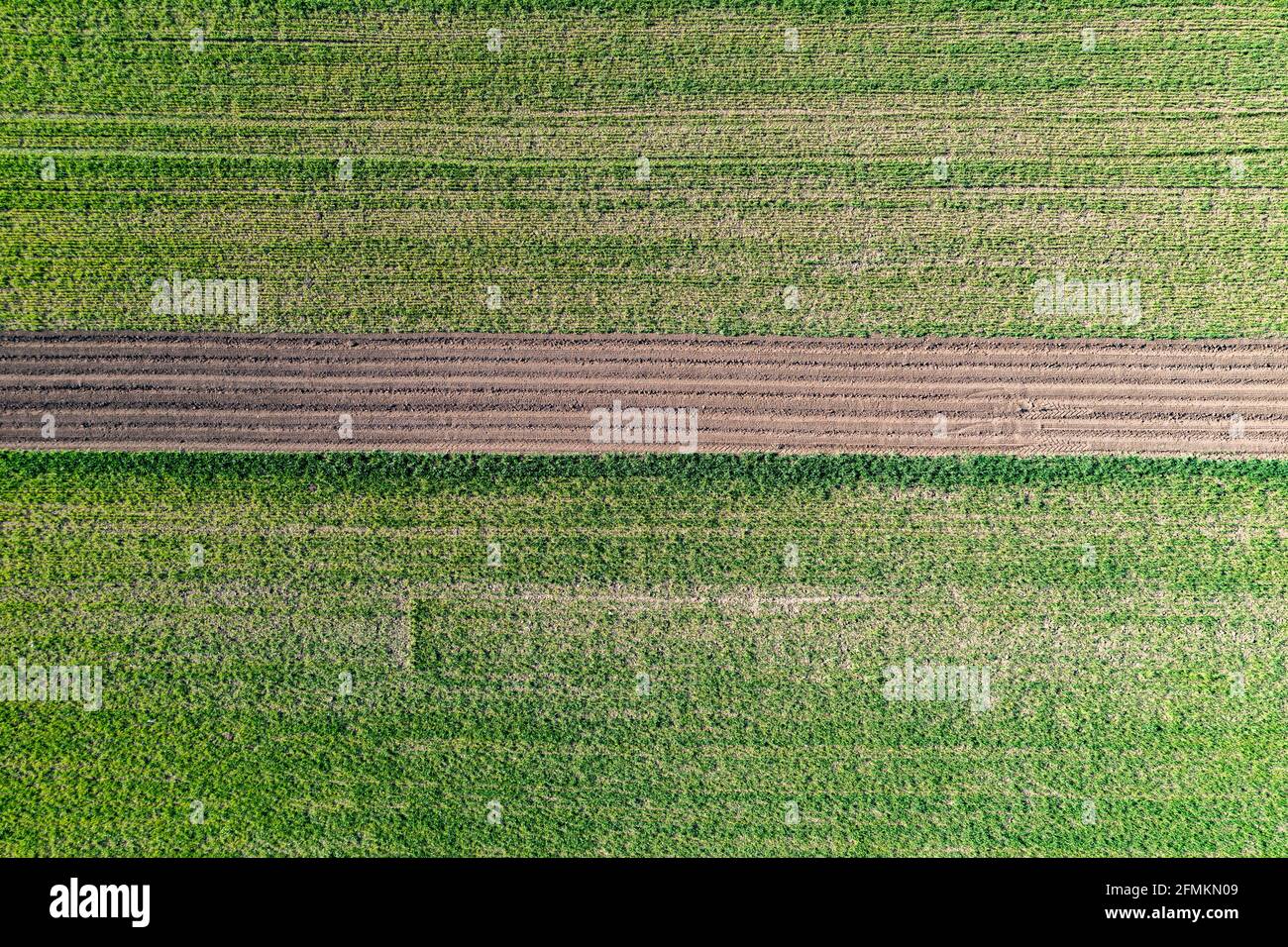 Aerial view of the field, photo taken from a drone Stock Photo - Alamy