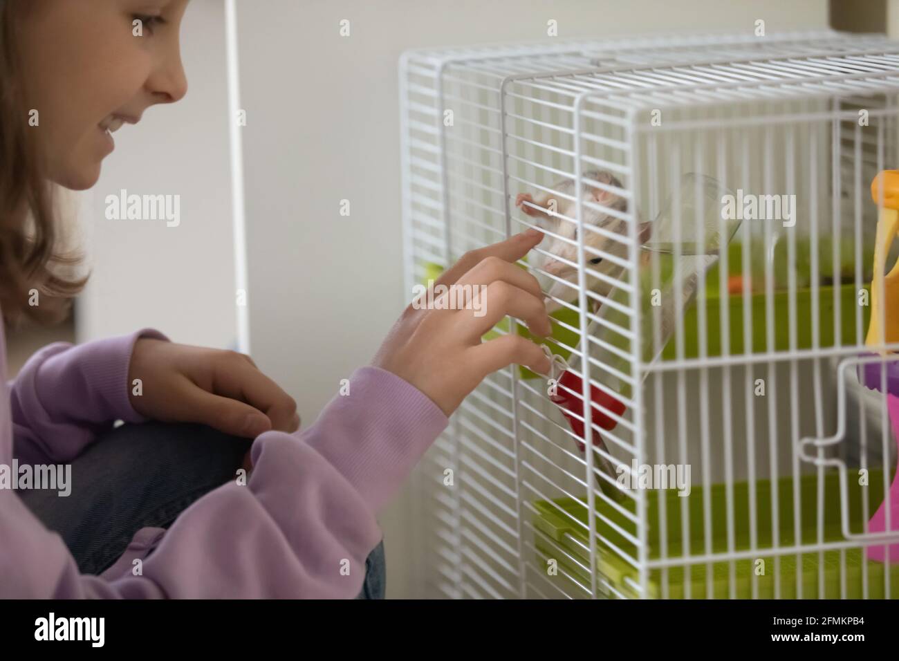 Happy young teen girl playing with domesticated rat Stock Photo - Alamy
