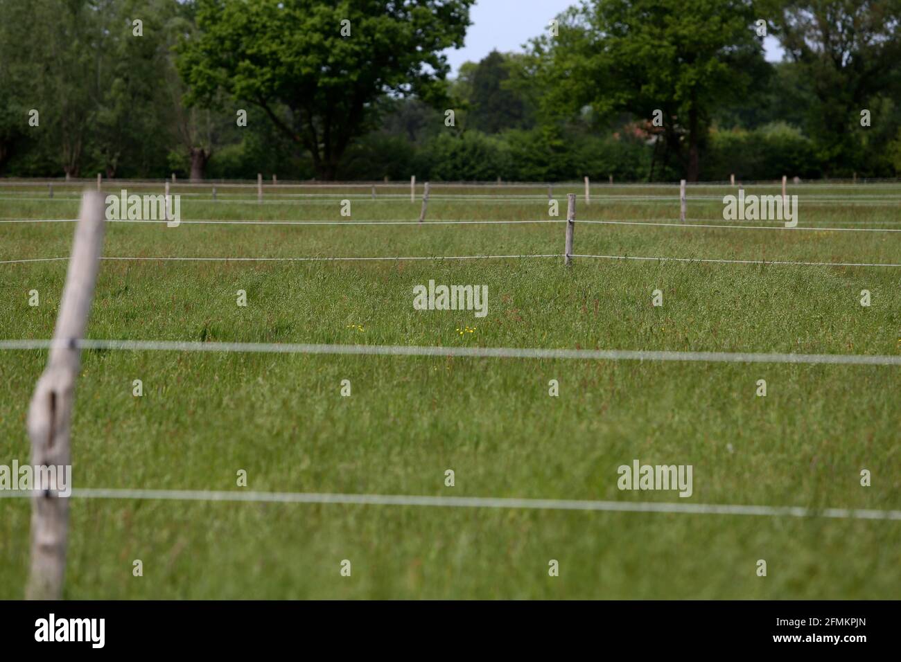 green fenced pastures on a horse farm Stock Photo - Alamy