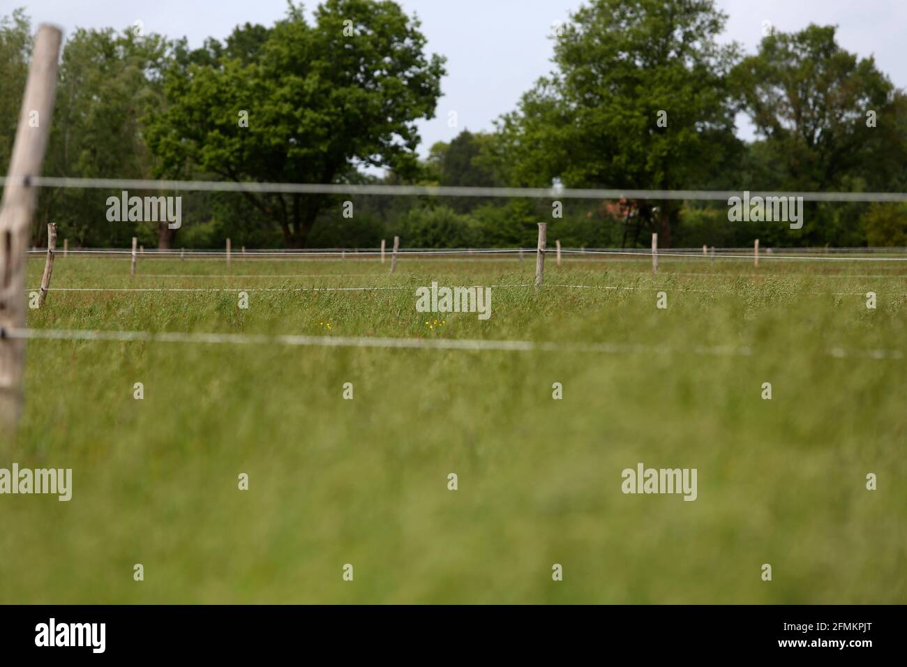green fenced pastures on a horse farm Stock Photo - Alamy