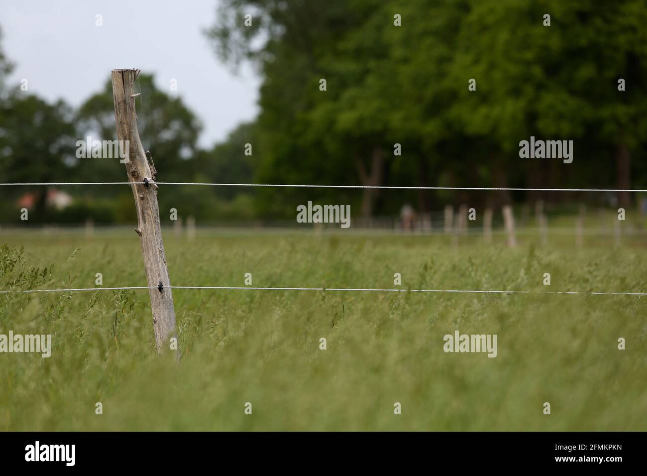 green fenced pastures on a horse farm Stock Photo - Alamy
