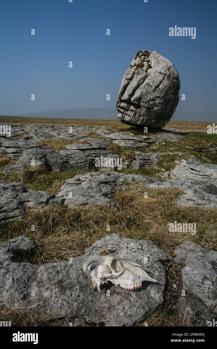 Scales Moor - a limestone platform on the slopes of Whernside in the ...