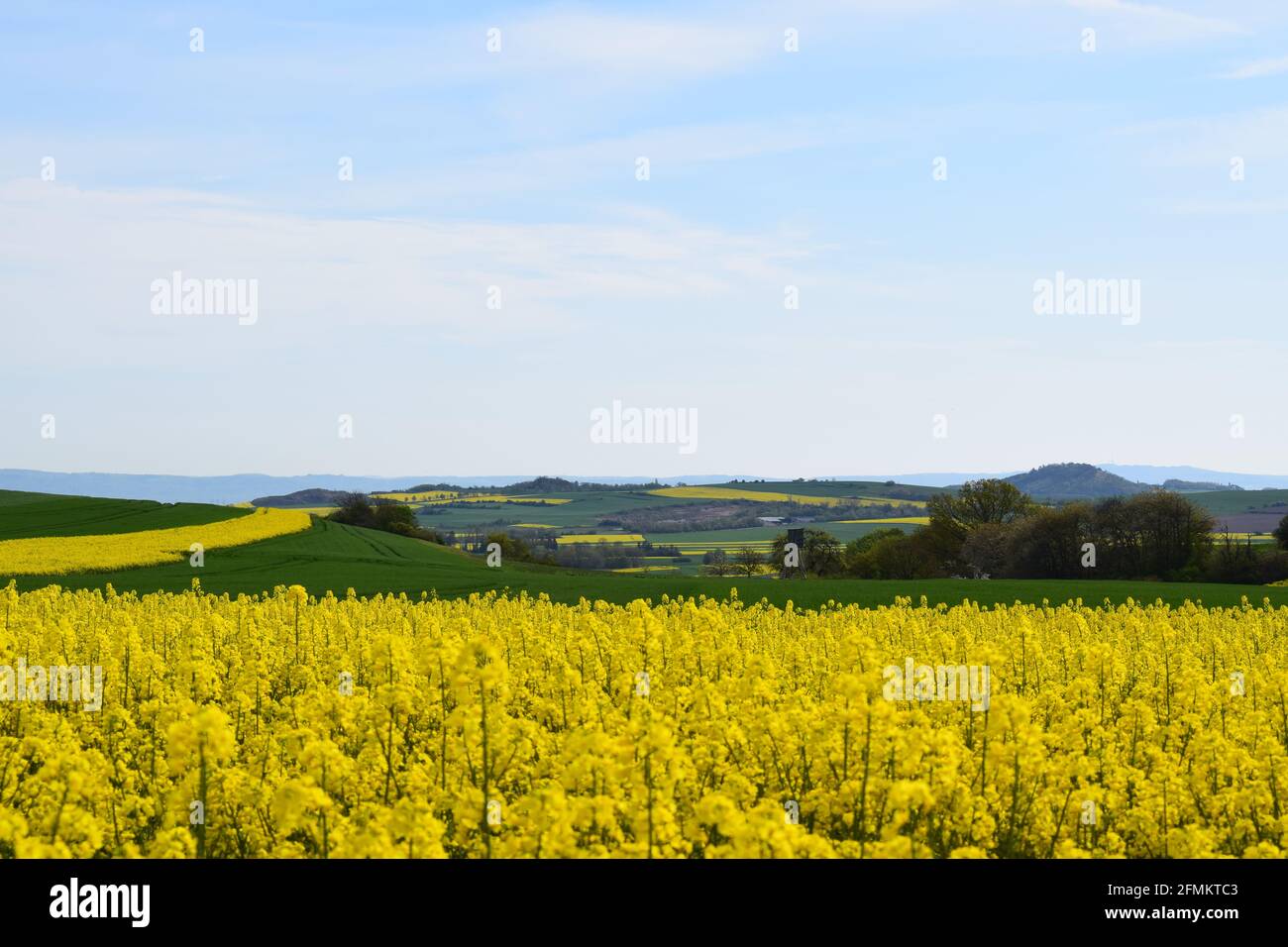 yellow fields and green hills Stock Photo - Alamy