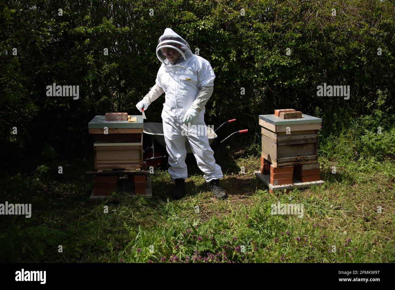 Beekeeper inspecting two hives hi-res stock photography and images - Alamy