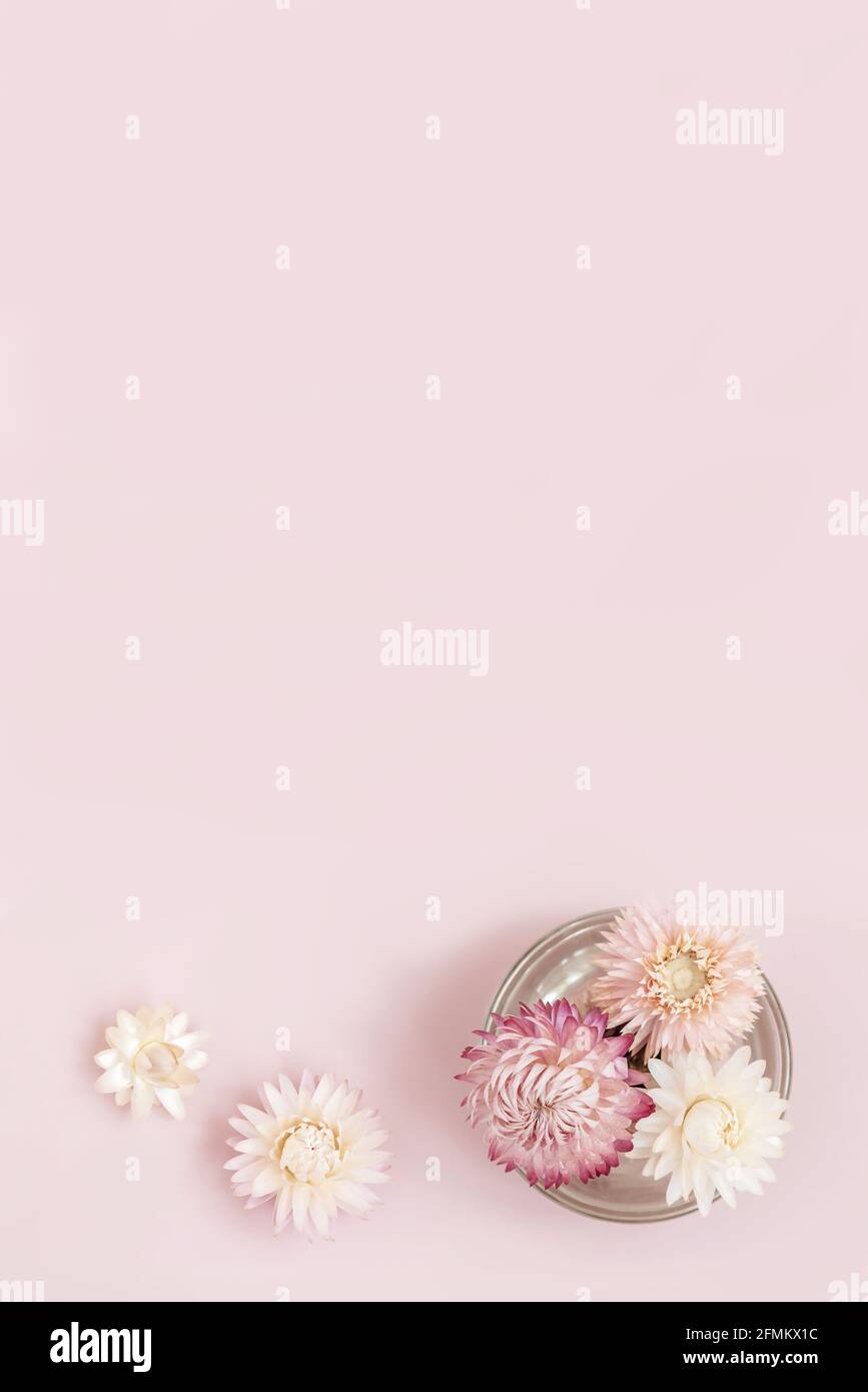 Floral flat lay greeting card with copy space Stock Photo - Alamy