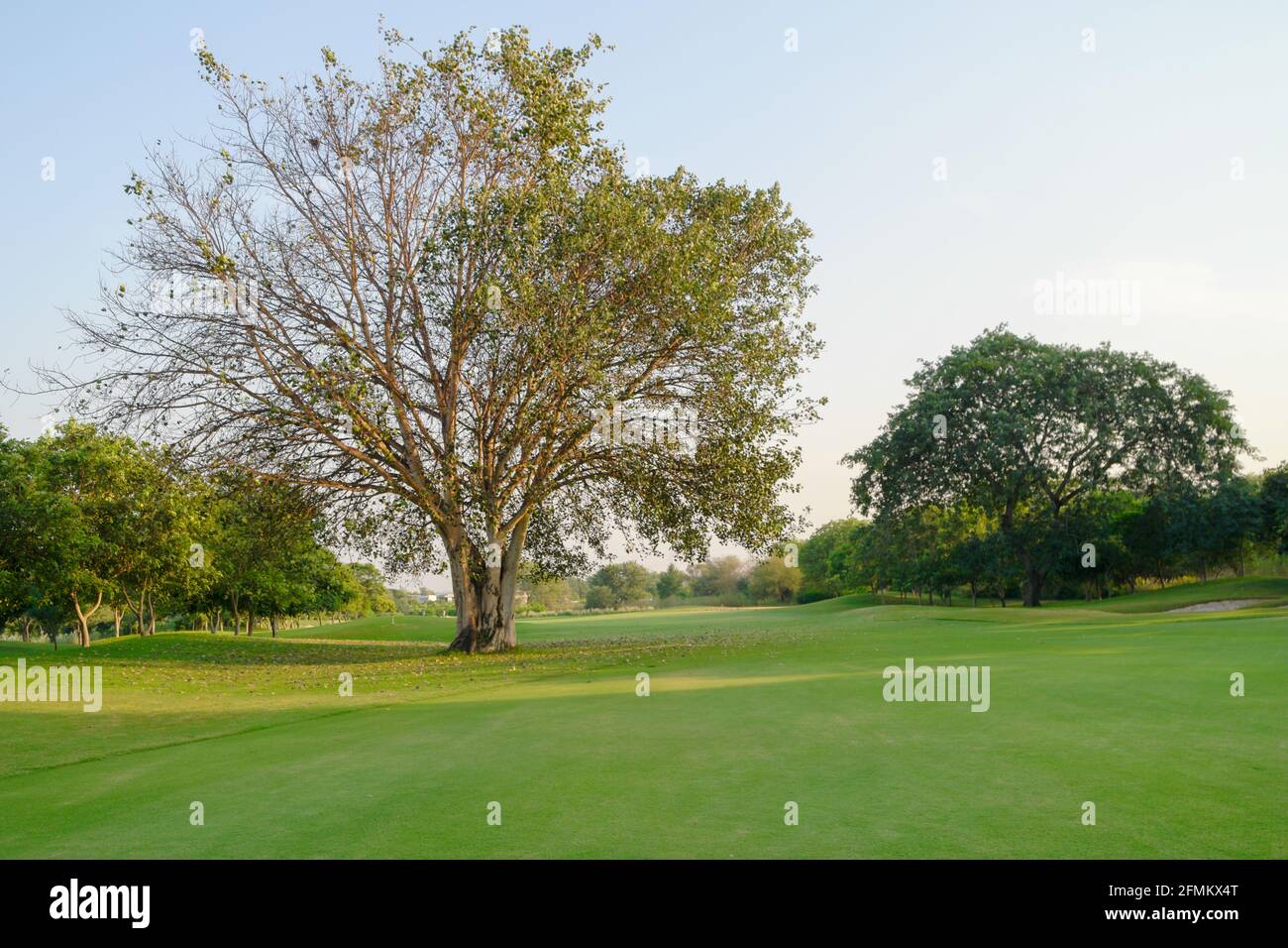 Scenic view of a lush green field surrounded by trees on a clear sky ...