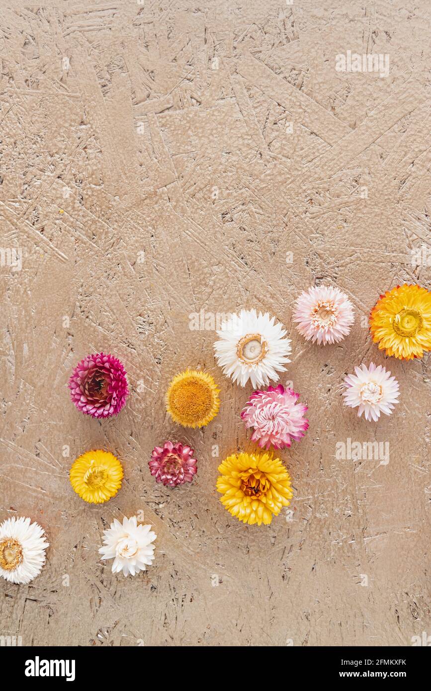 Organic floral background with dry flowers on golden textured Stock ...
