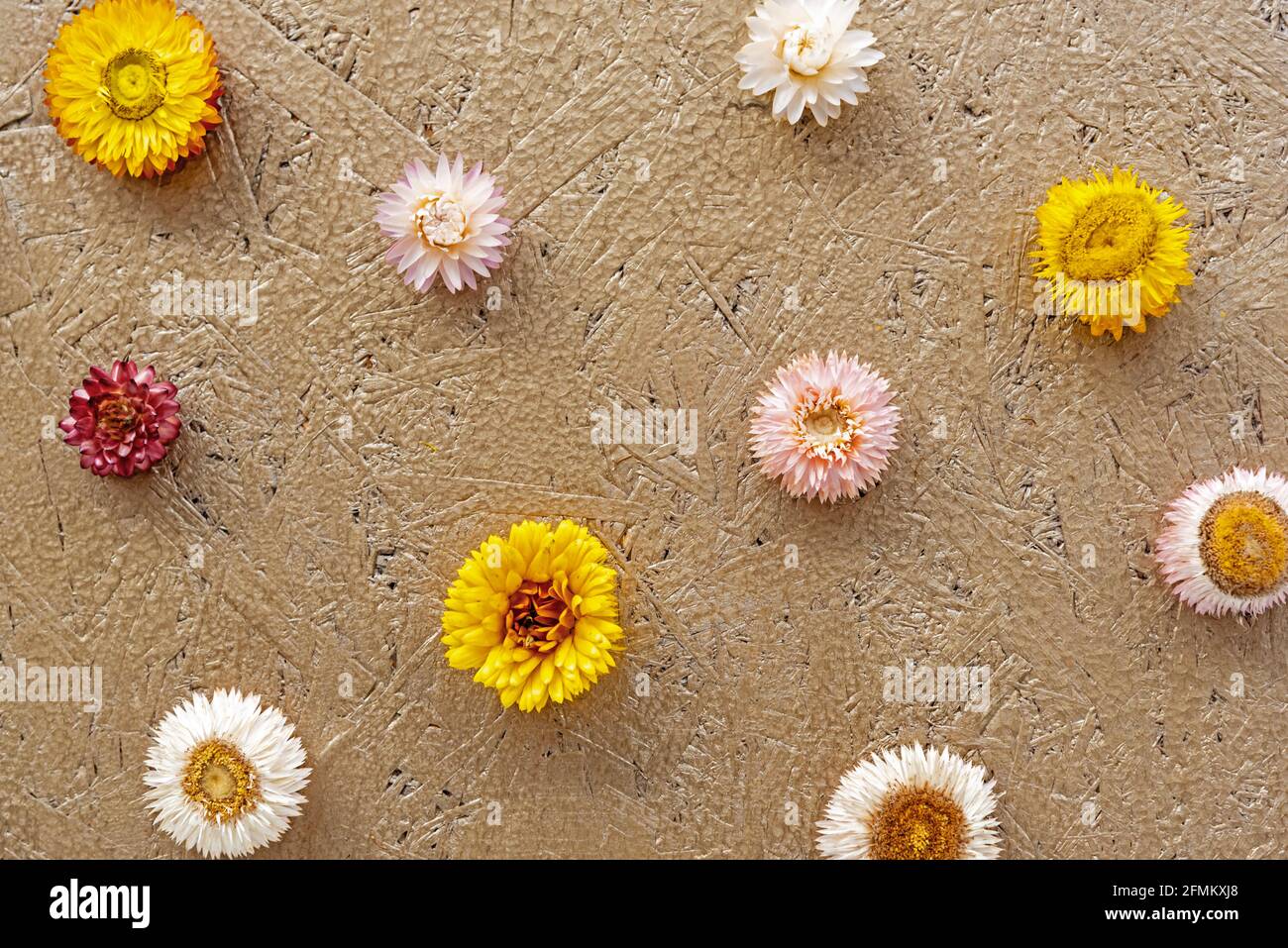 Organic floral background with dry flowers on golden textured Stock ...