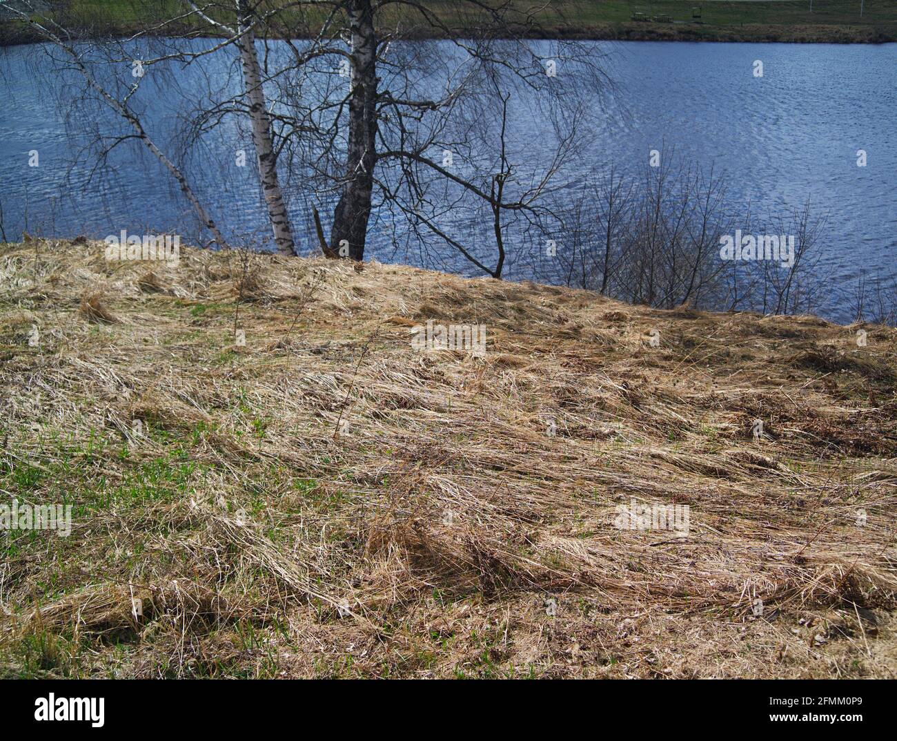 Bank trees dry ground hi-res stock photography and images - Alamy