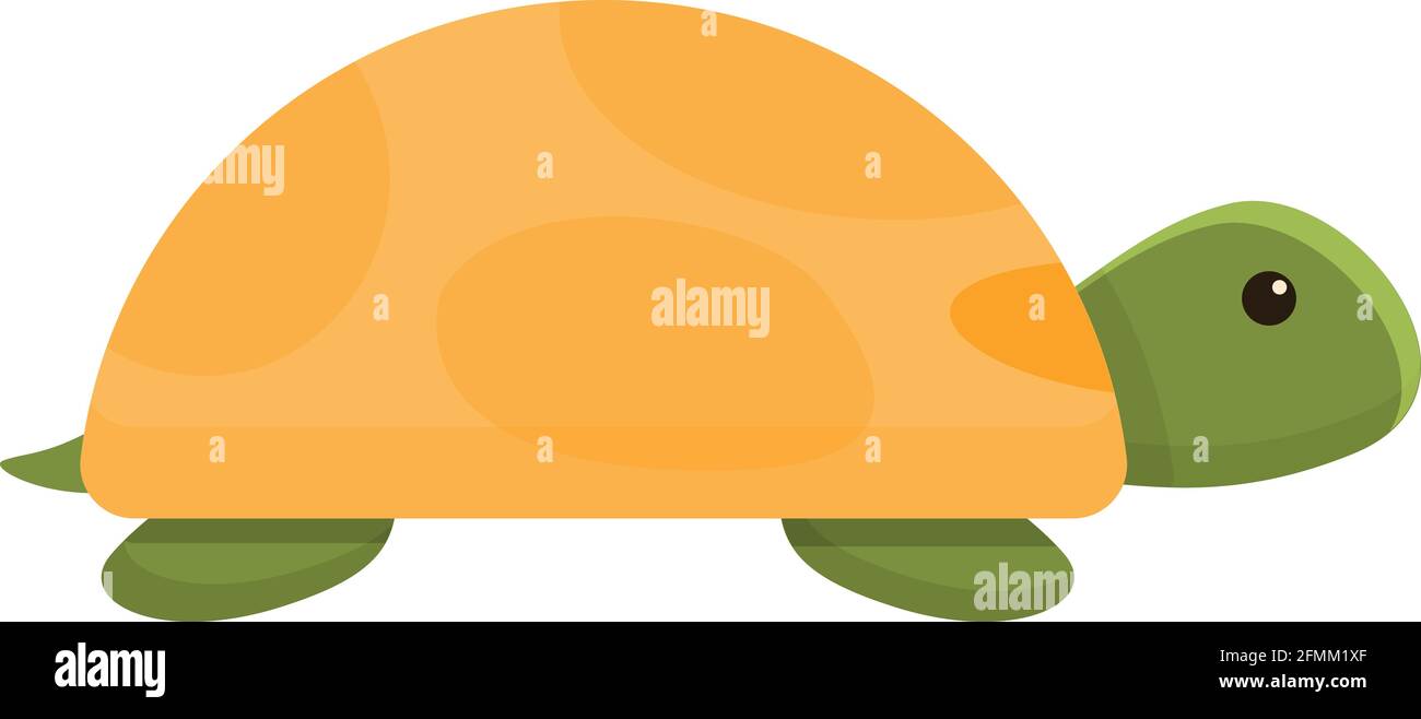 Safari turtle icon. Cartoon of Safari turtle vector icon for web design ...