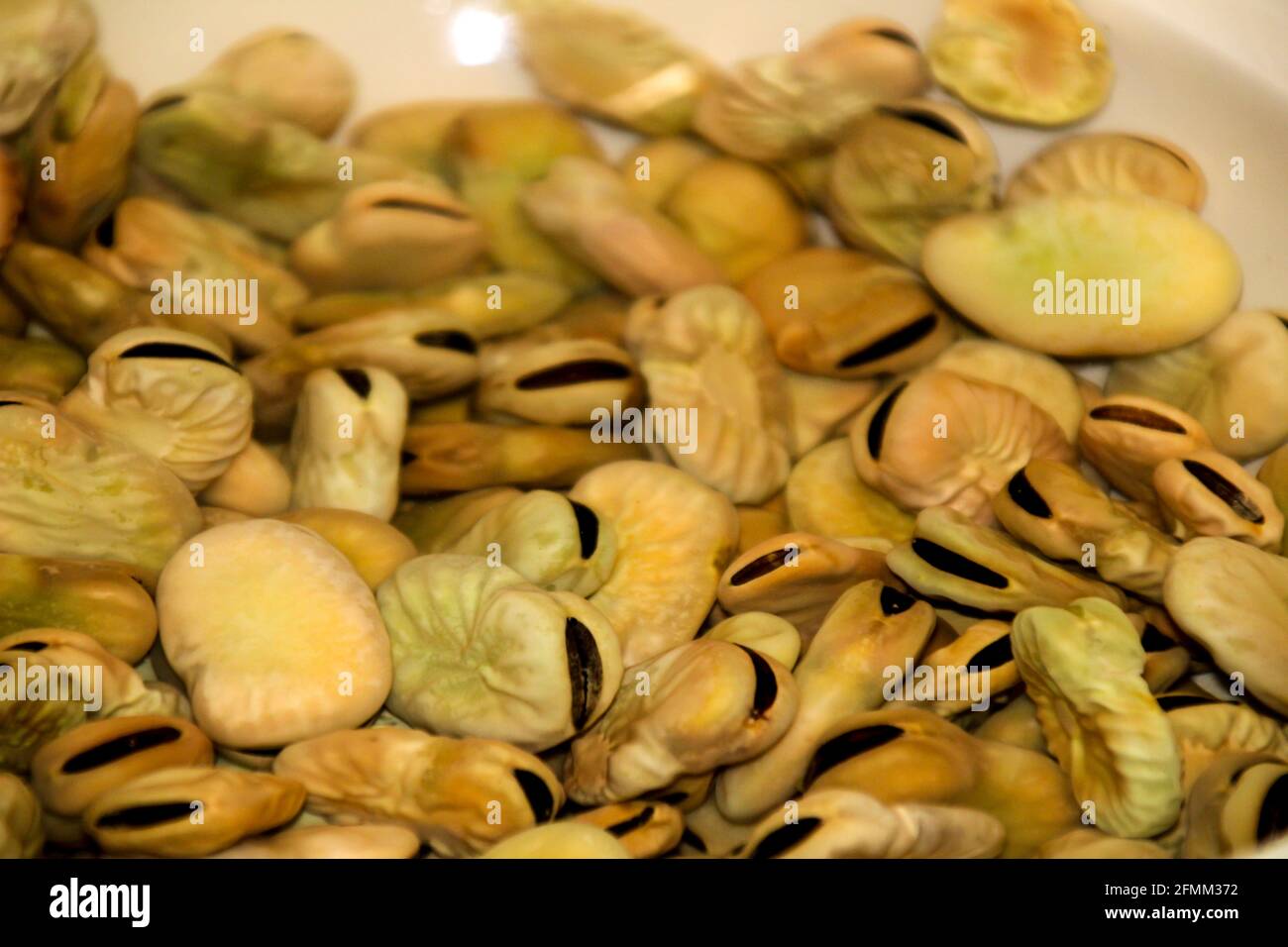 Dried broad beans soaked in water in a bowl in the kitchen Stock Photo ...