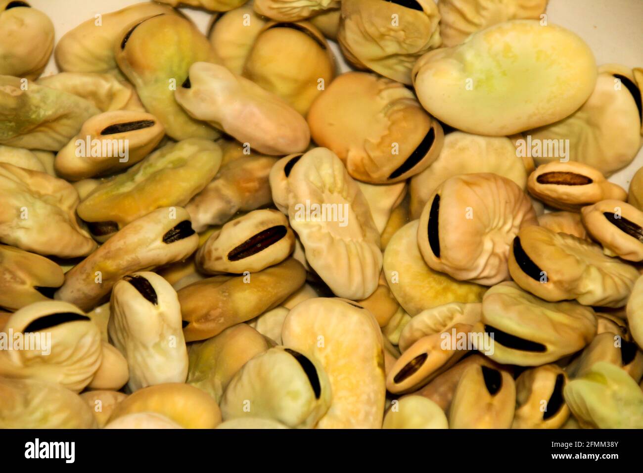 Soaked to the skin hi-res stock photography and images - Alamy