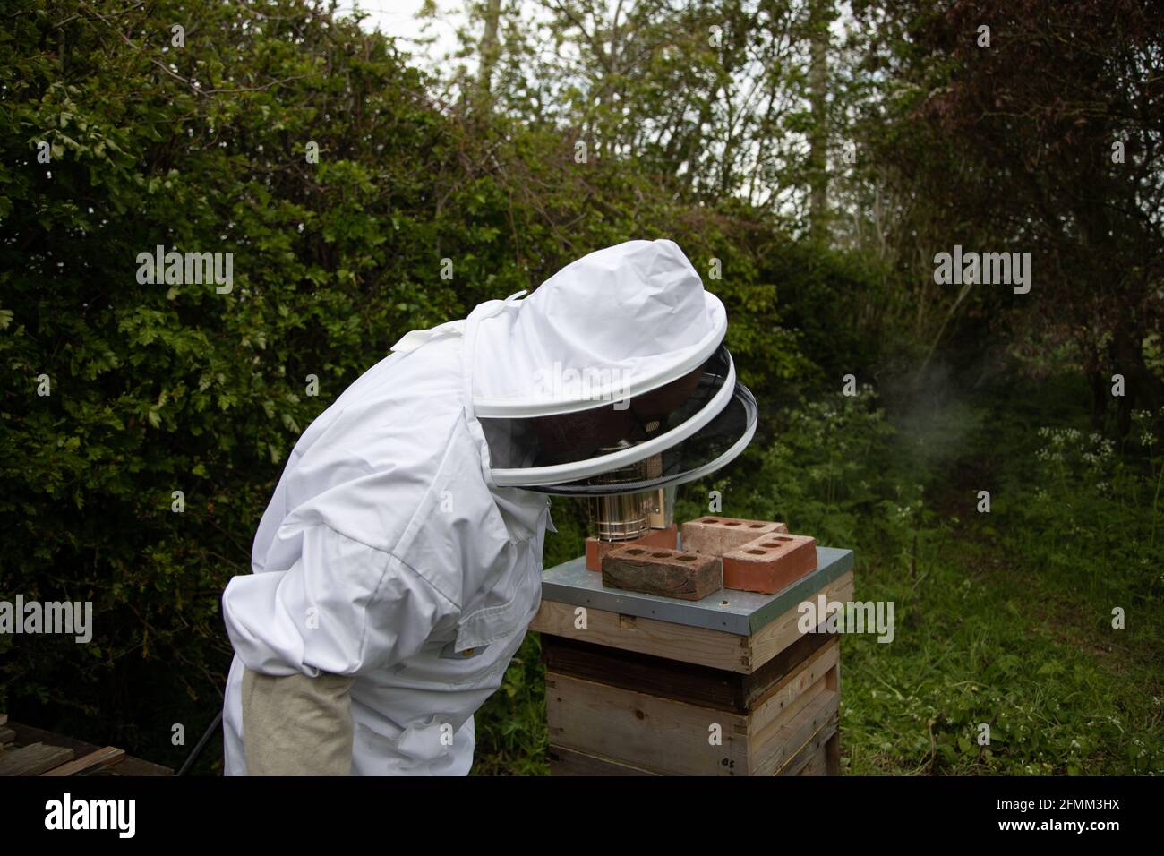 Worker inspecting ppe hi-res stock photography and images - Alamy