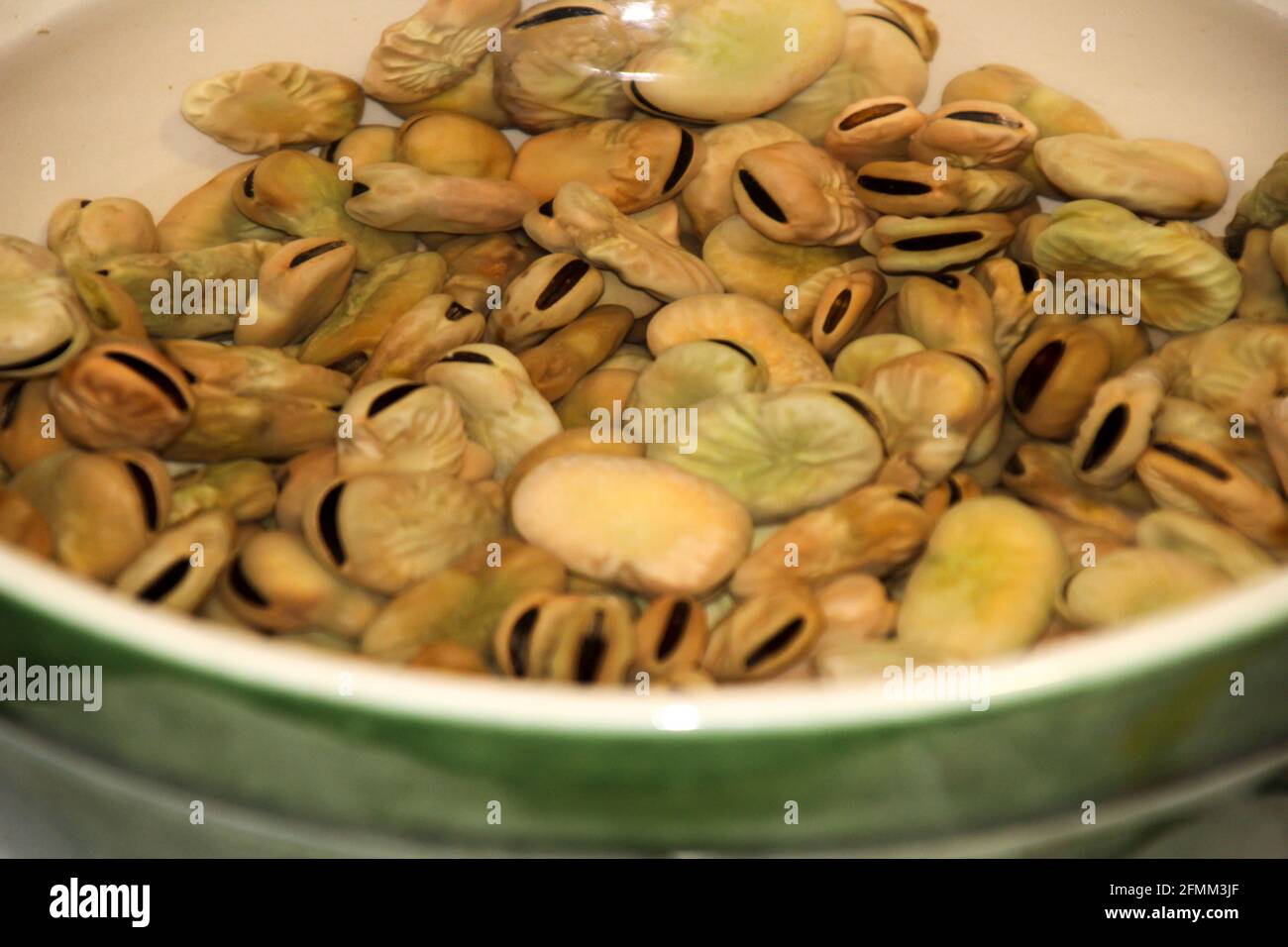 Dried broad beans soaked in water in a bowl in the kitchen Stock Photo ...