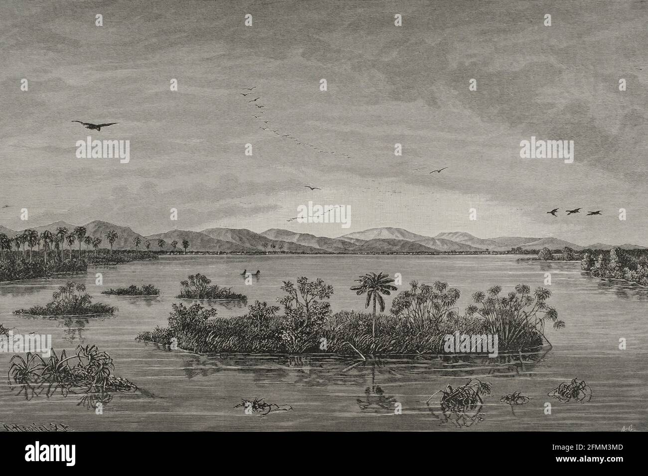 History of Africa. 19th century. Floating islands on the Upper Congo ...