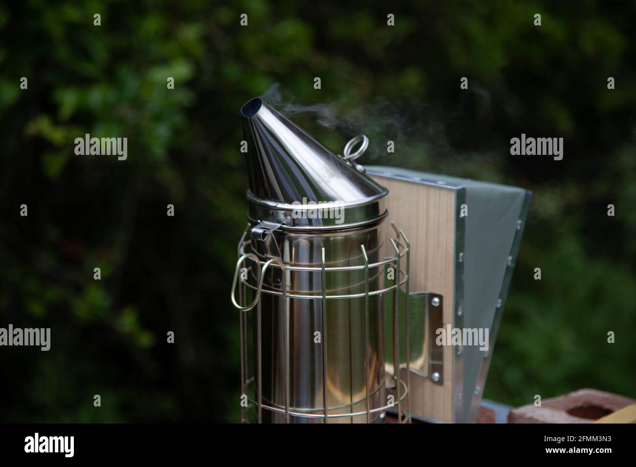 Smoking bee smoker Stock Photo - Alamy