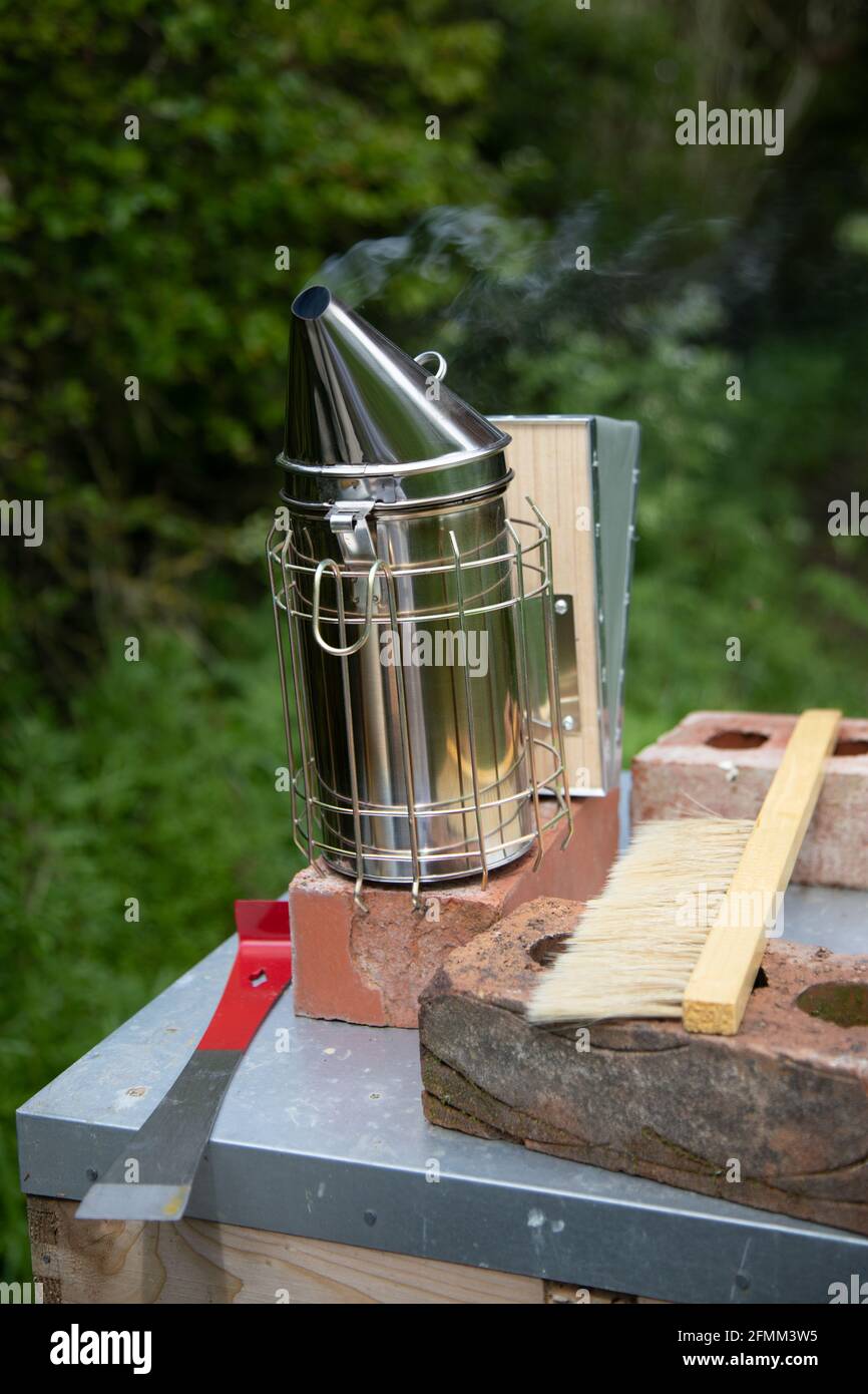 Smoking bee smoker Stock Photo - Alamy