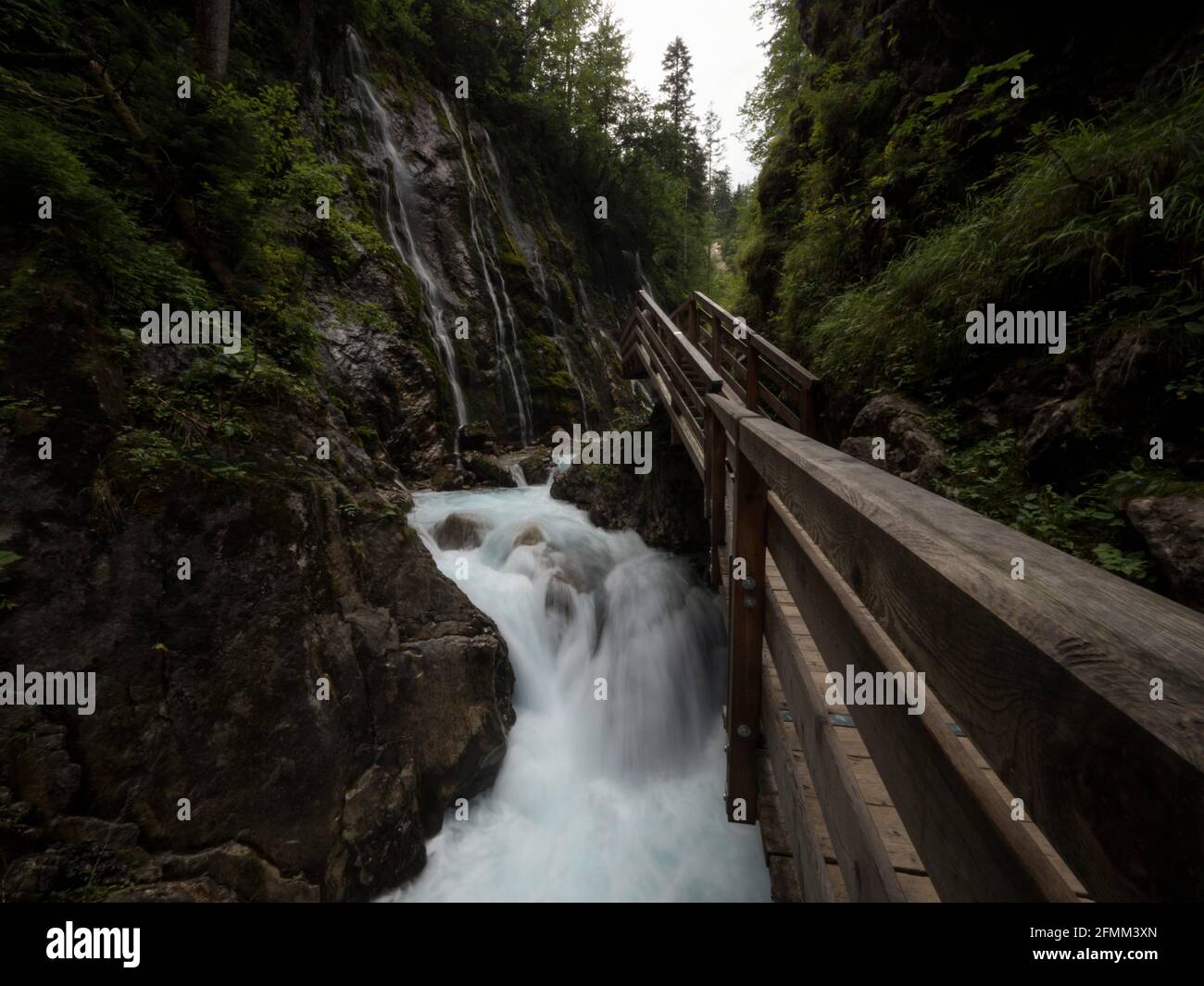 Nature landscape panorama of wooden boardwalk path in raw wild mountain ...