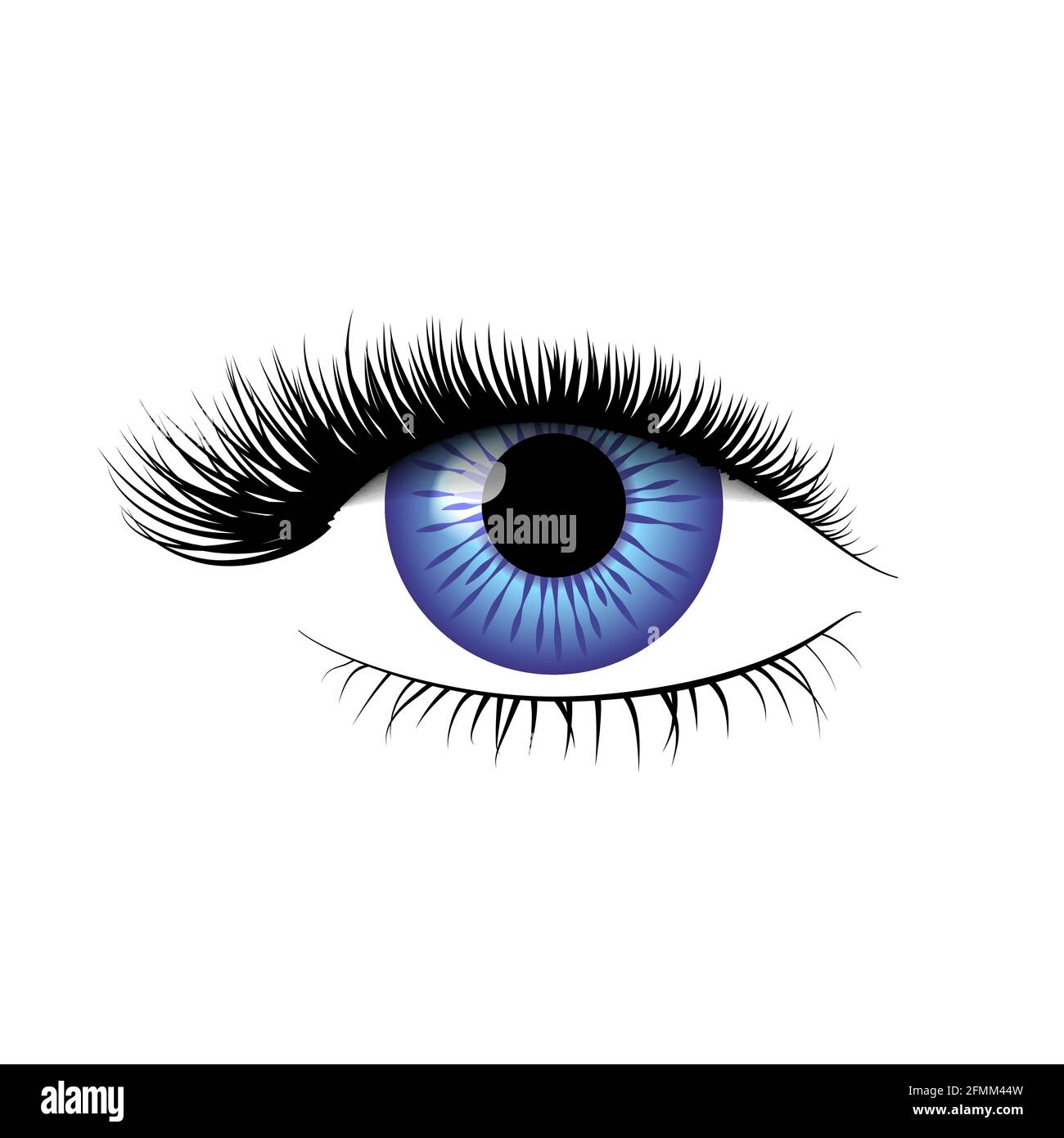 Detailed realistic blue eye with beautiful eyelashes on white Stock ...