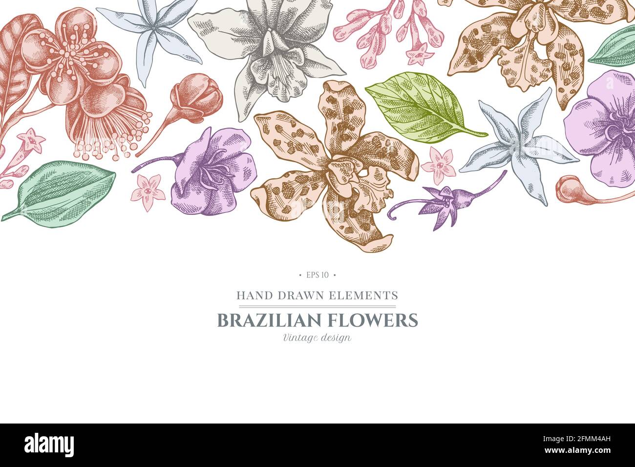Floral design with pastel laelia, feijoa flowers, glory bush, papilio ...