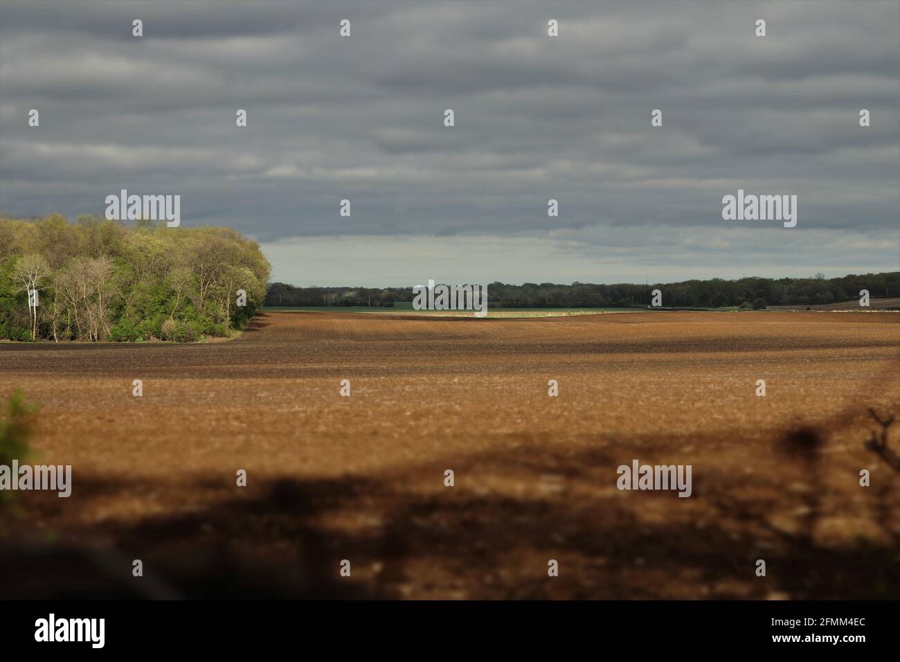 Empty farmland hi-res stock photography and images - Alamy