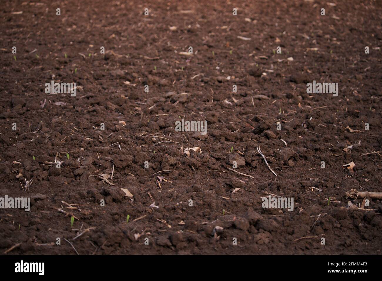 Tilled soil hi-res stock photography and images - Alamy