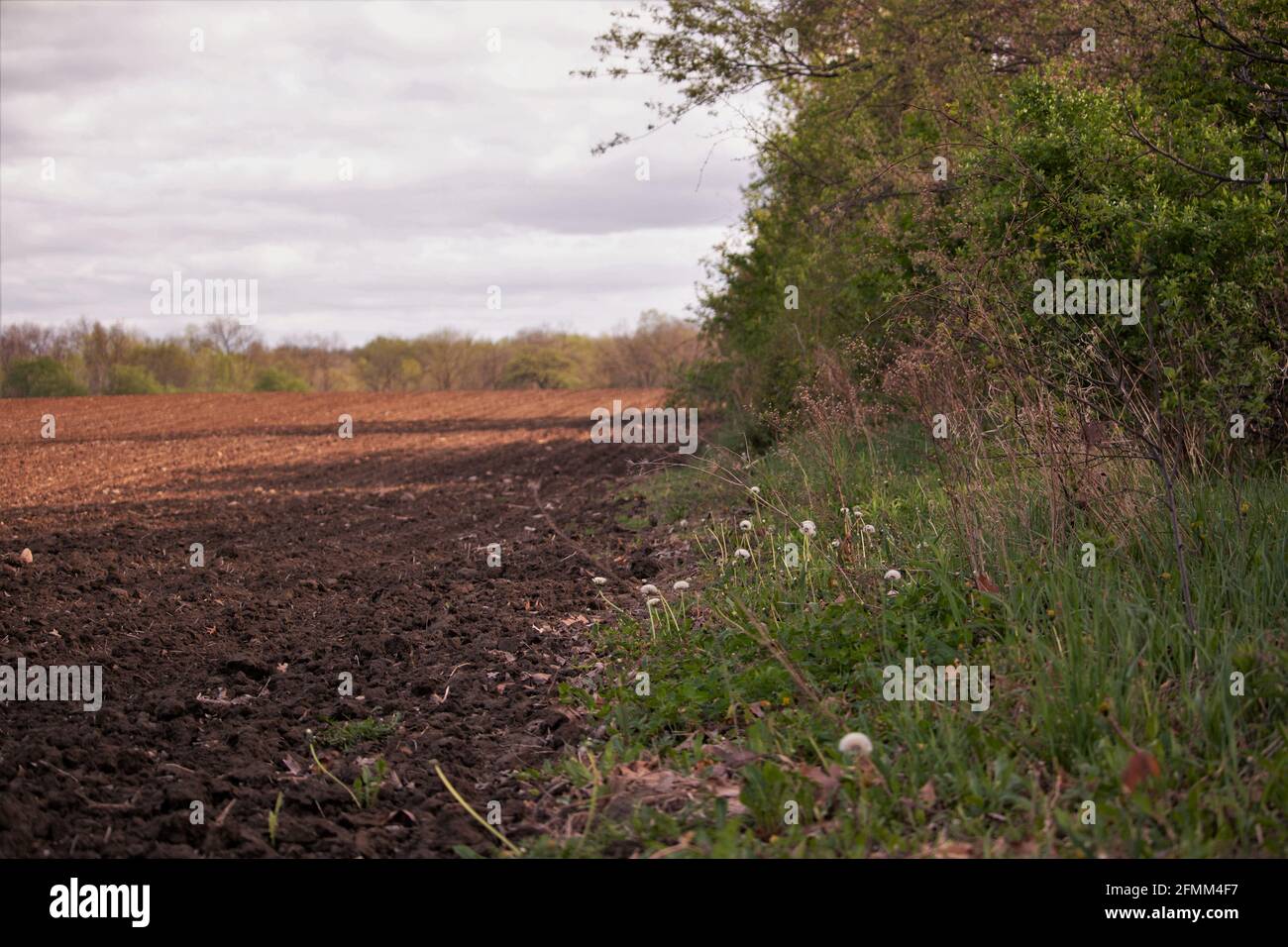 Empty farmland hi-res stock photography and images - Alamy