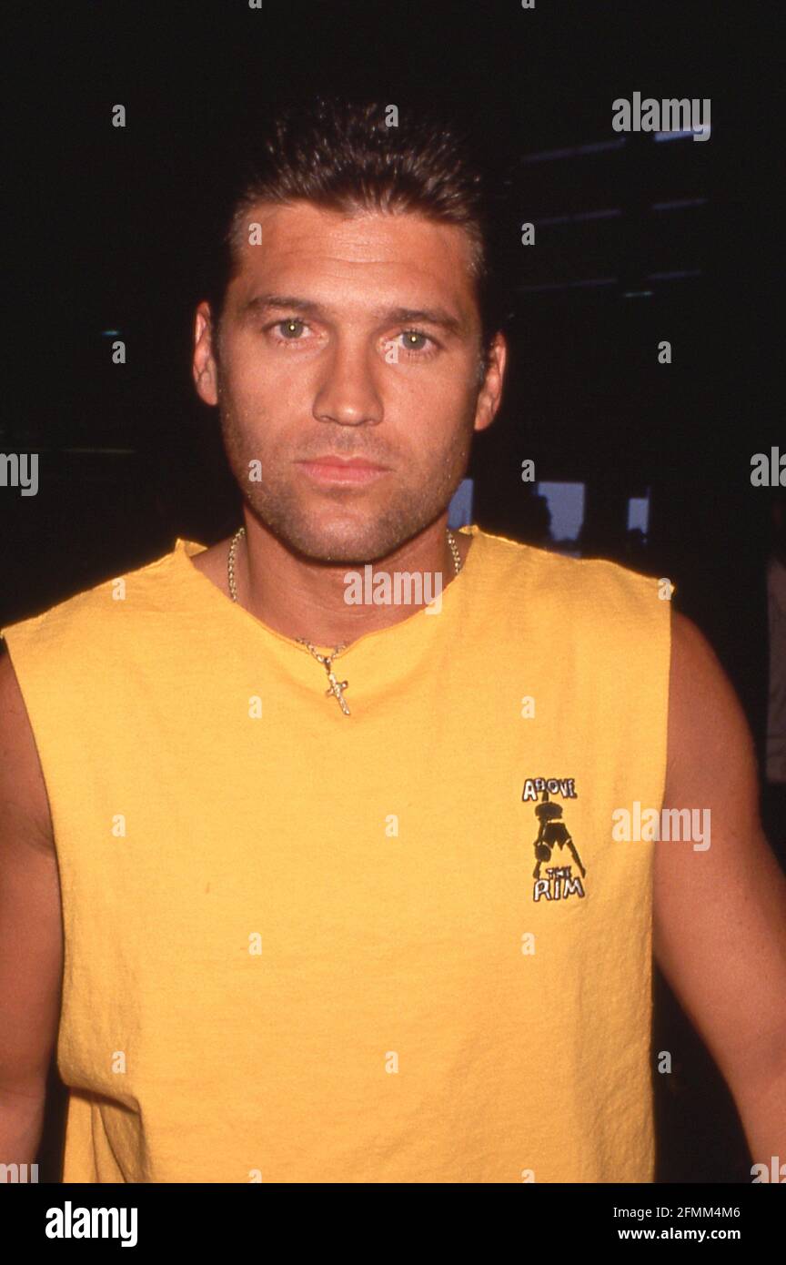 Billy Ray Cyrus 1993 Credit: Ralph Dominguez/MediaPunch Stock Photo - Alamy