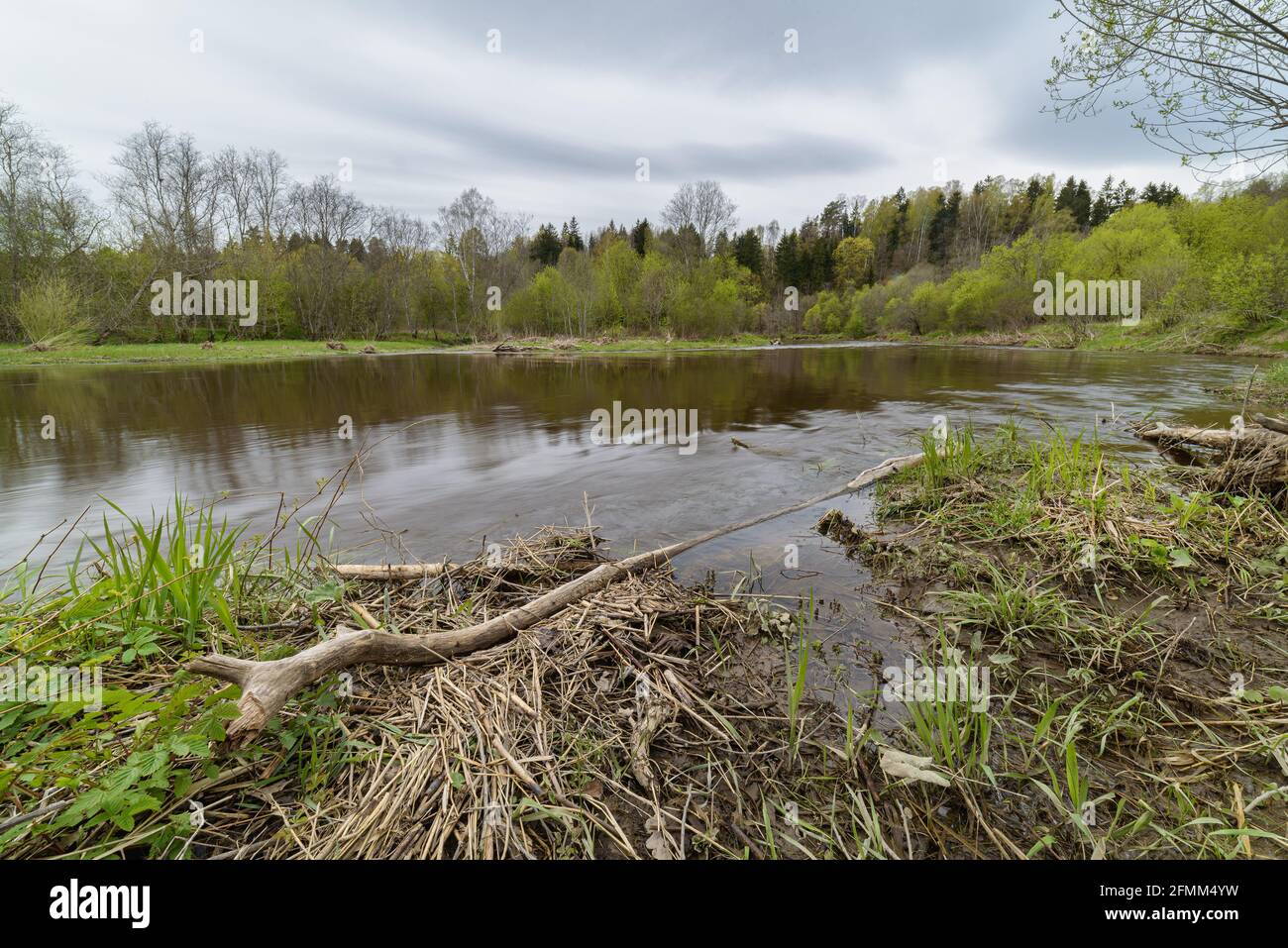Spring view by the river Dubysa Stock Photo - Alamy
