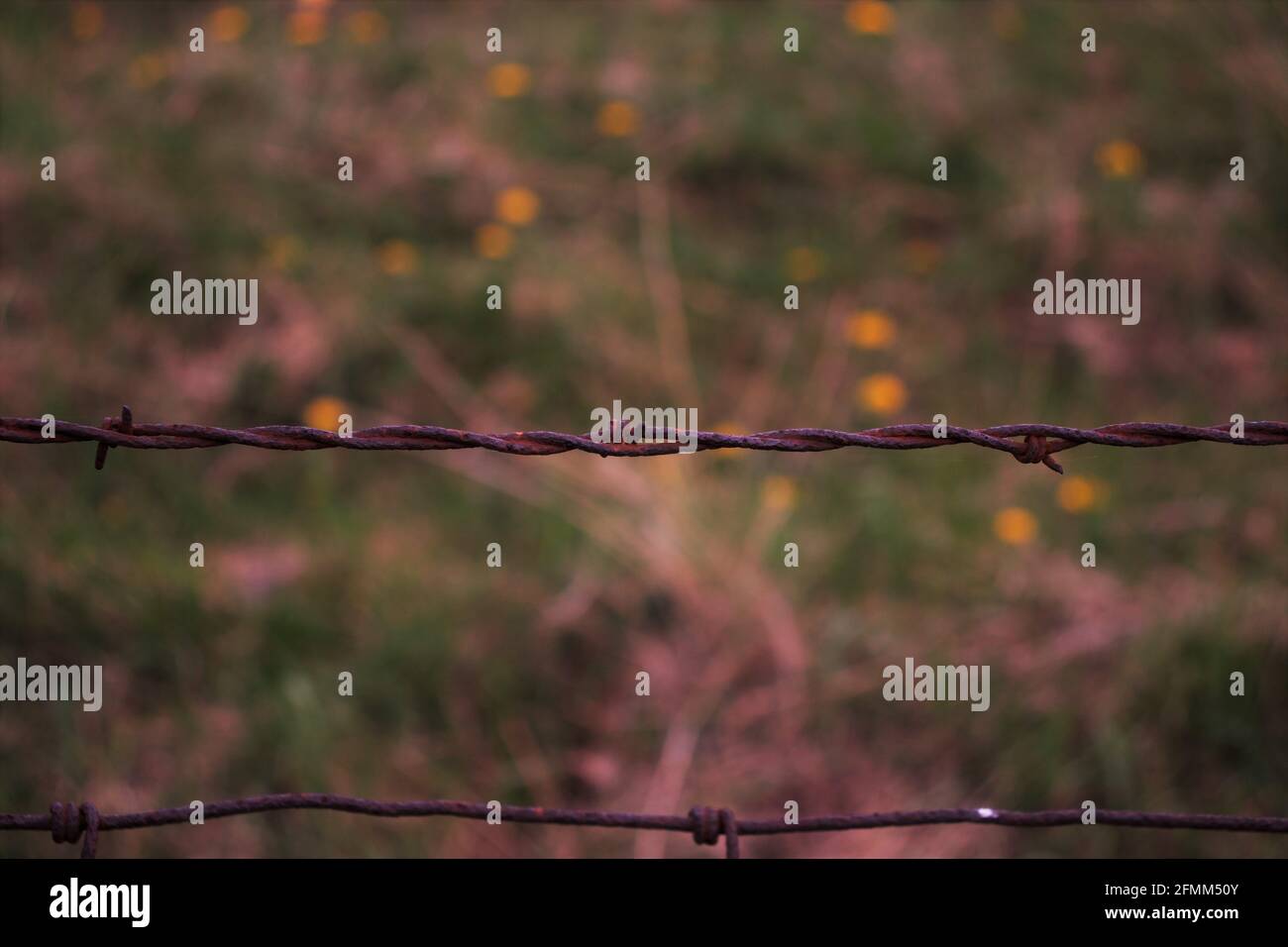 Old rusted wire fence hi-res stock photography and images - Alamy