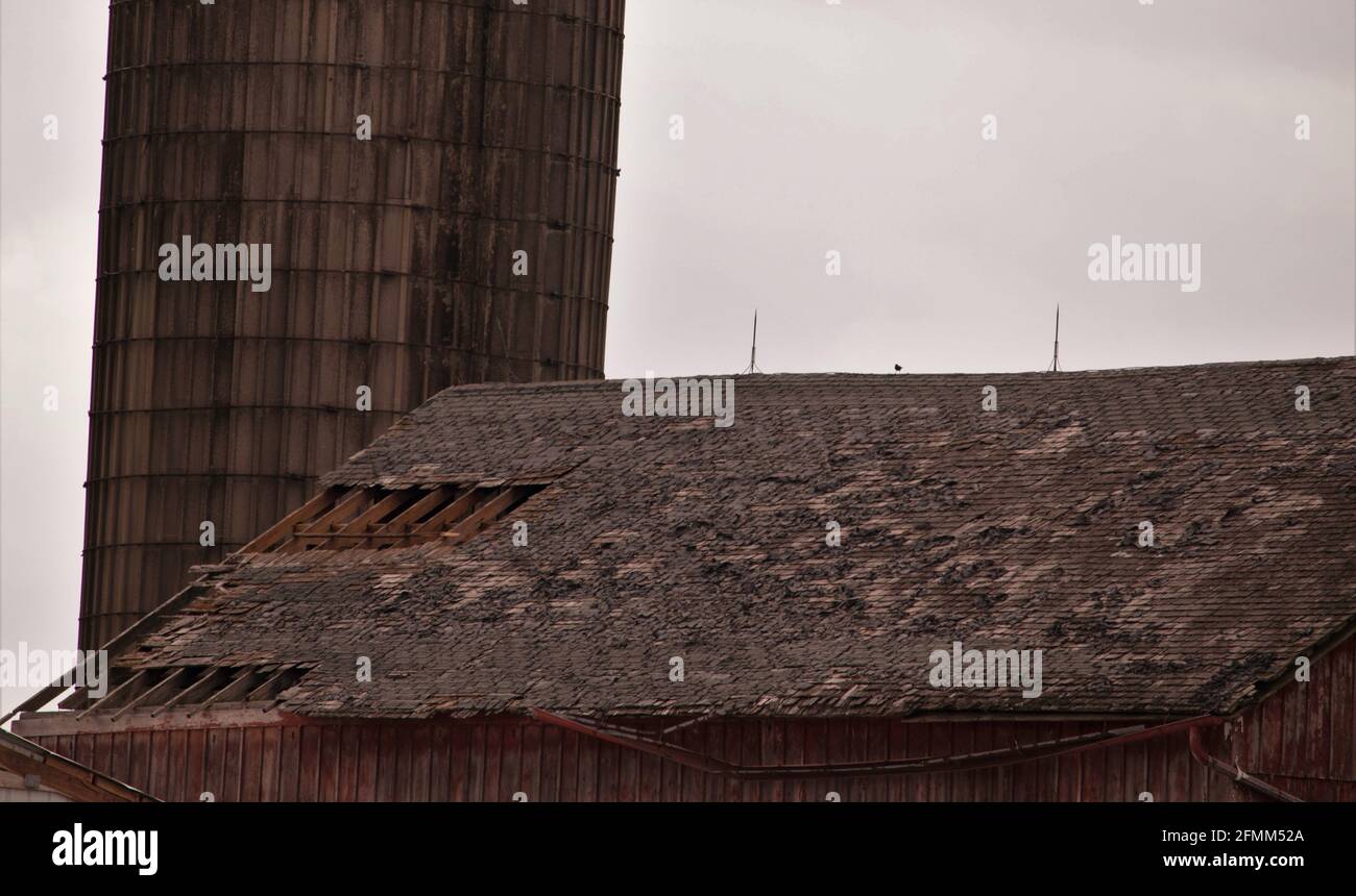 A barn with a broken/decaying roof Stock Photo - Alamy