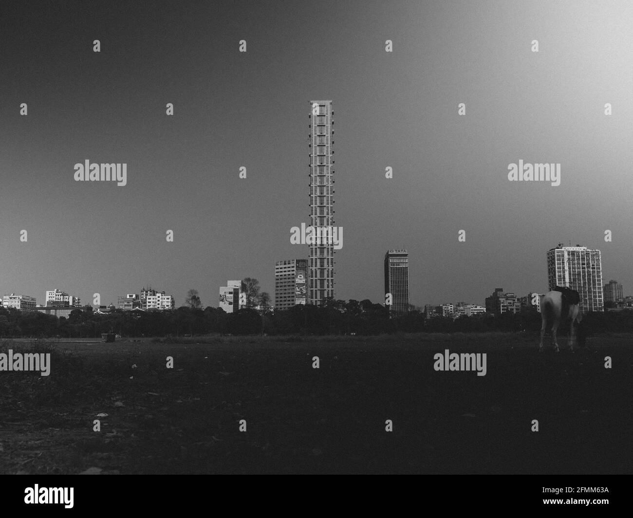 KOLKATA, INDIA - May 10, 2021: Side view of Famous The 42 building ...