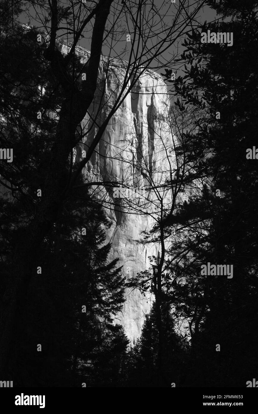 Rock Face through the trees Stock Photo - Alamy