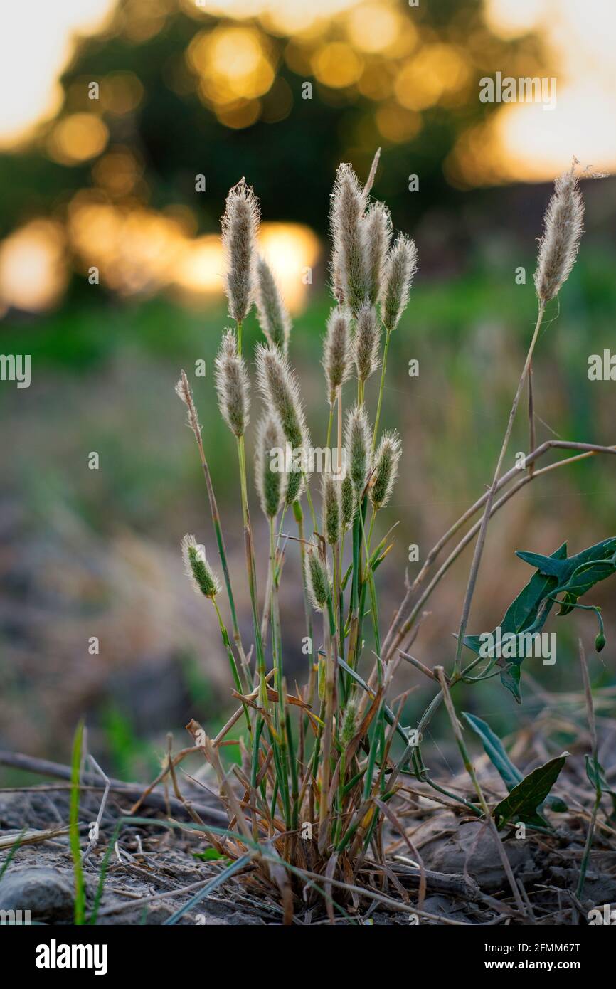 High resolution walpaper hi-res stock photography and images - Alamy