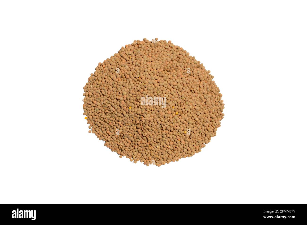 brown dry raw lentil bean heap uncooked on a clean bright kitchen table ...