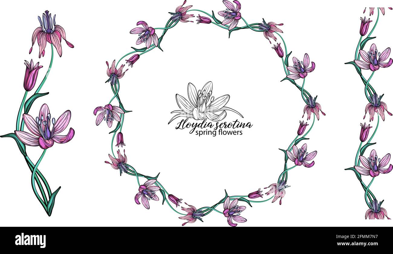 Floral wreath set pink Cut Out Stock Images & Pictures - Alamy