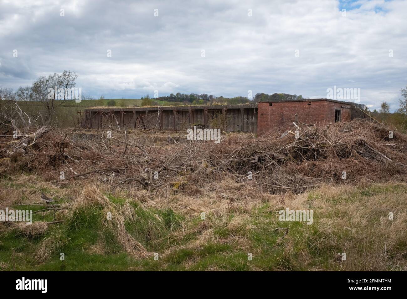 Ww2 rifle hi-res stock photography and images - Alamy