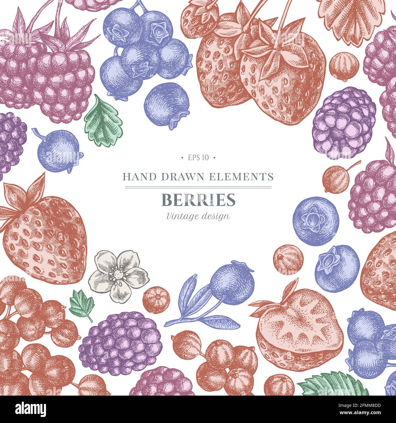 Design with pastel colored strawberry, blueberry, red currant ...