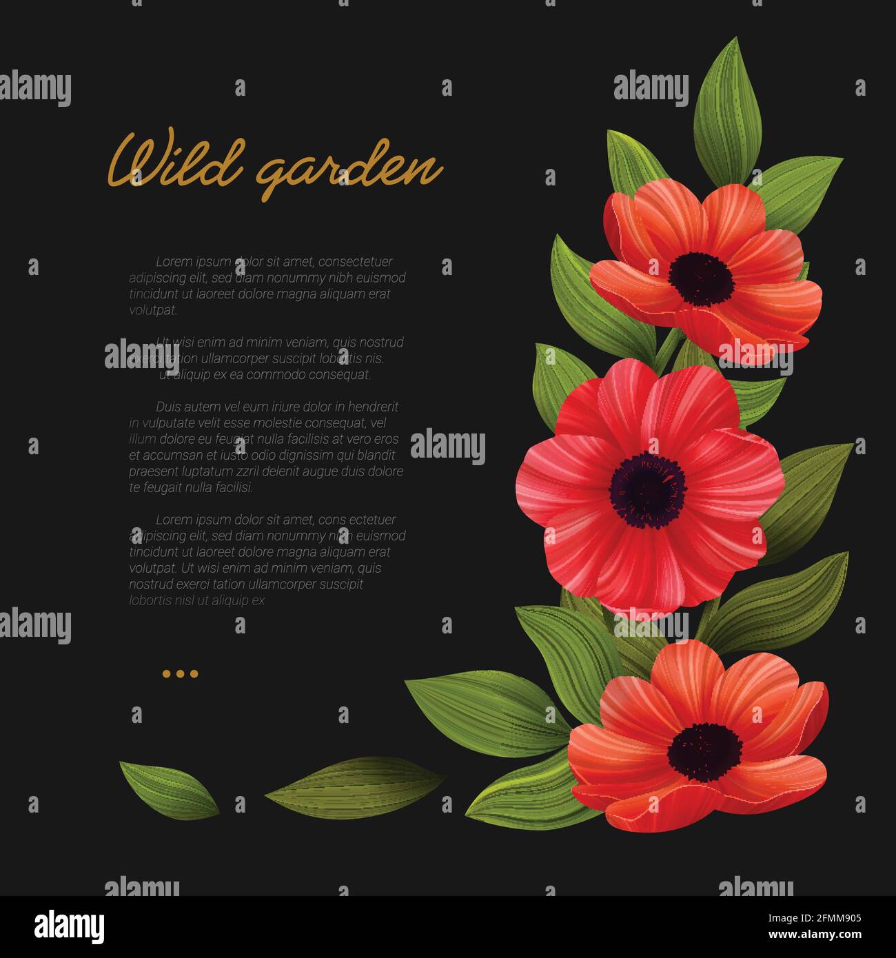Flowers. Web banner template with Red poppies on black background ...